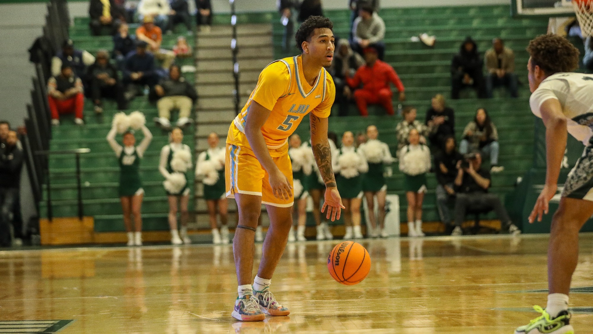 Long Island University Athletics