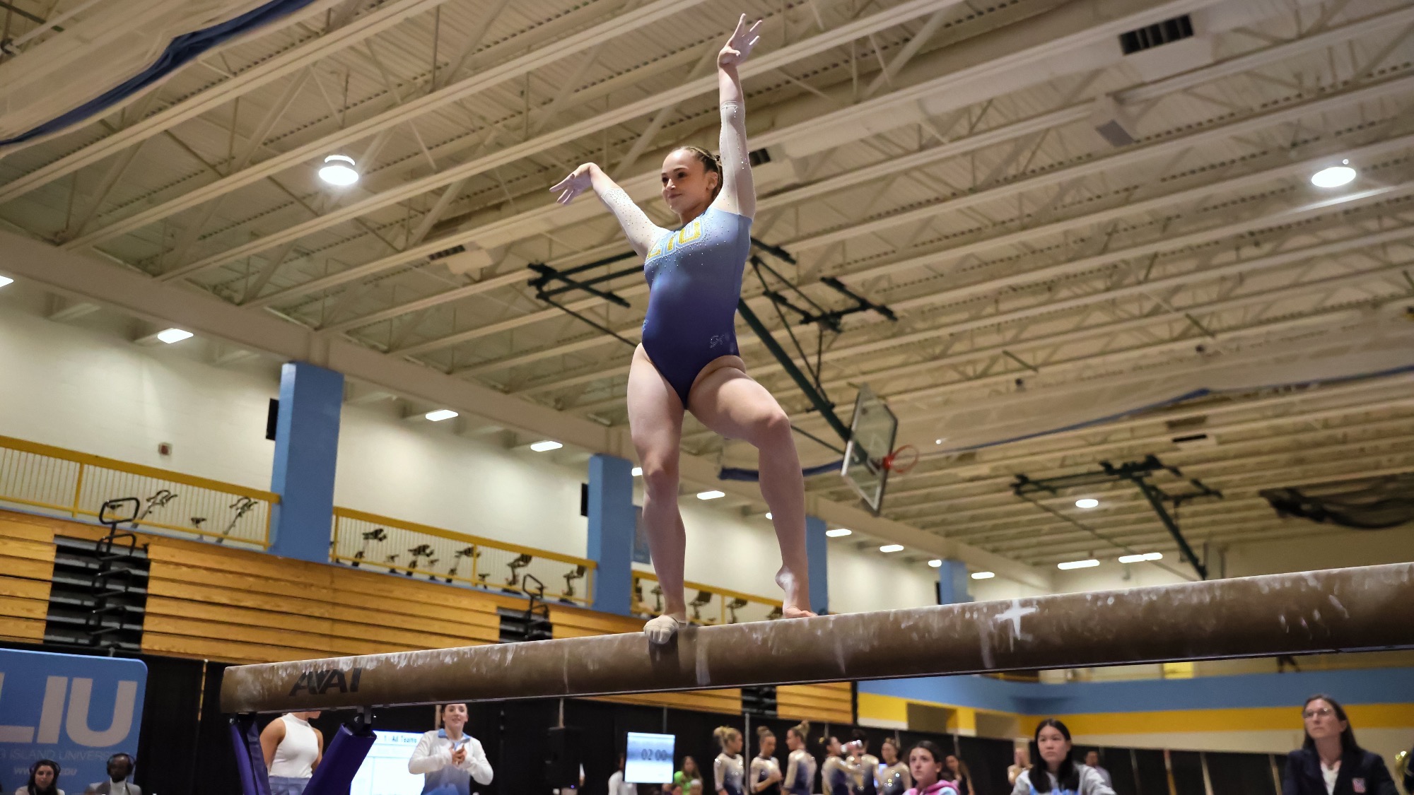 Gymnastics Long Island Ny at Pam Calhoun blog