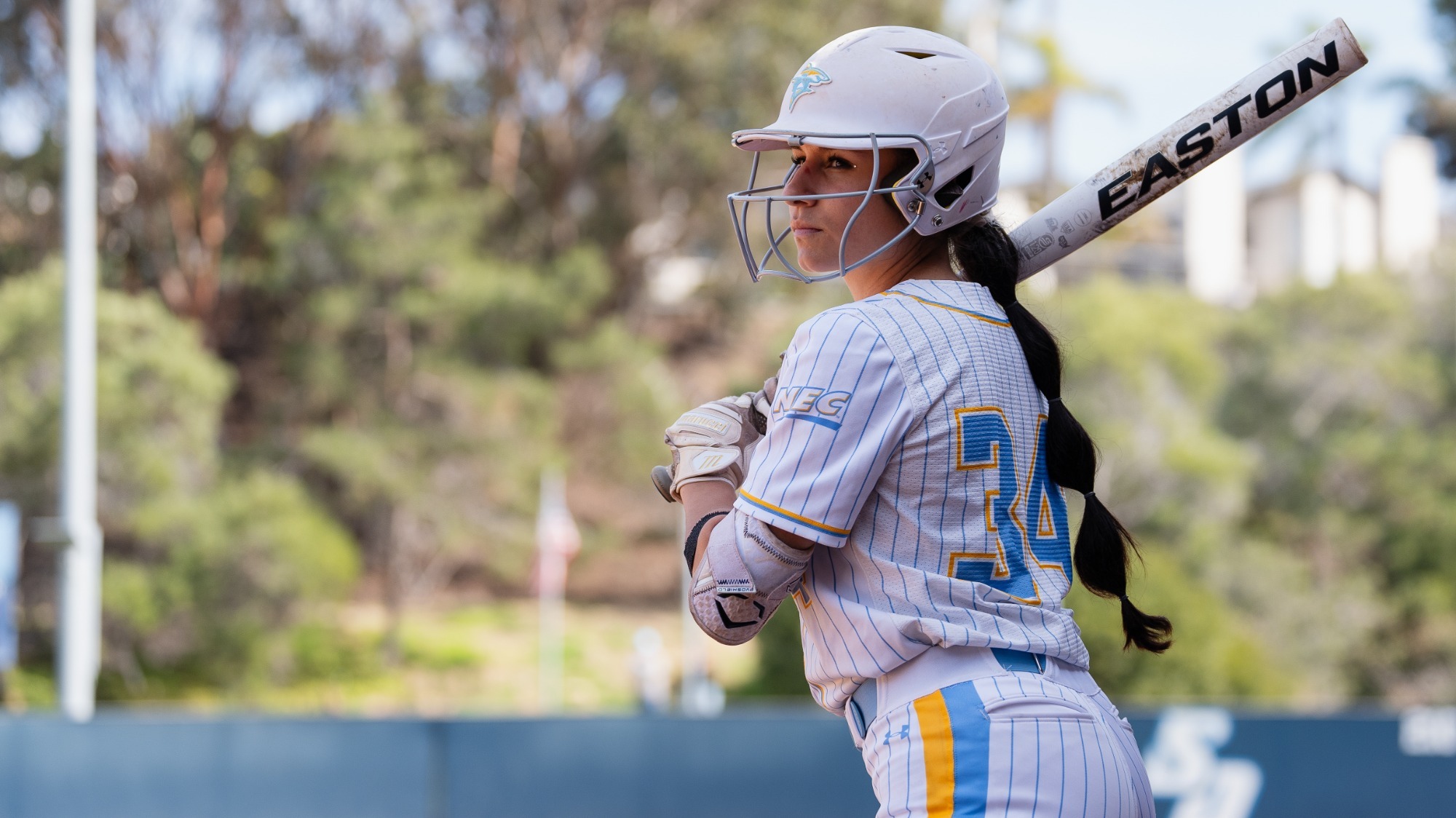 Long Island University Athletics