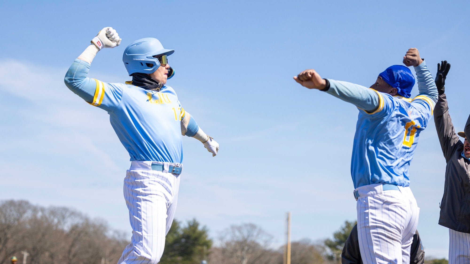 Long Island University Athletics