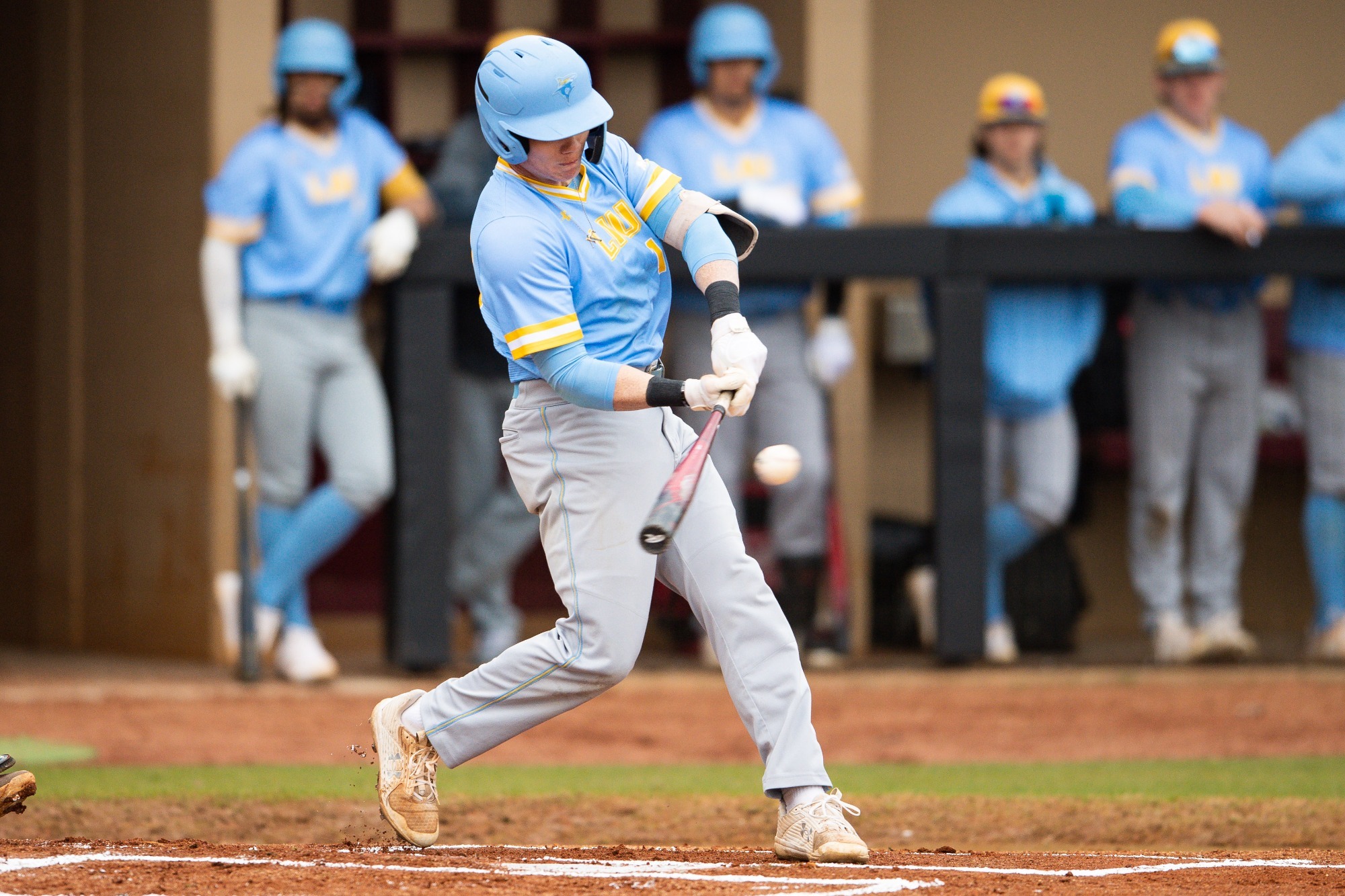 Long Island University Athletics