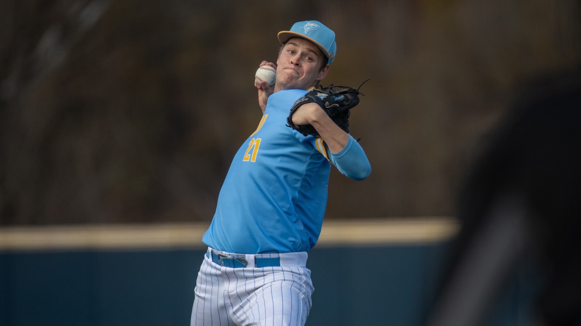 Long Island University Athletics