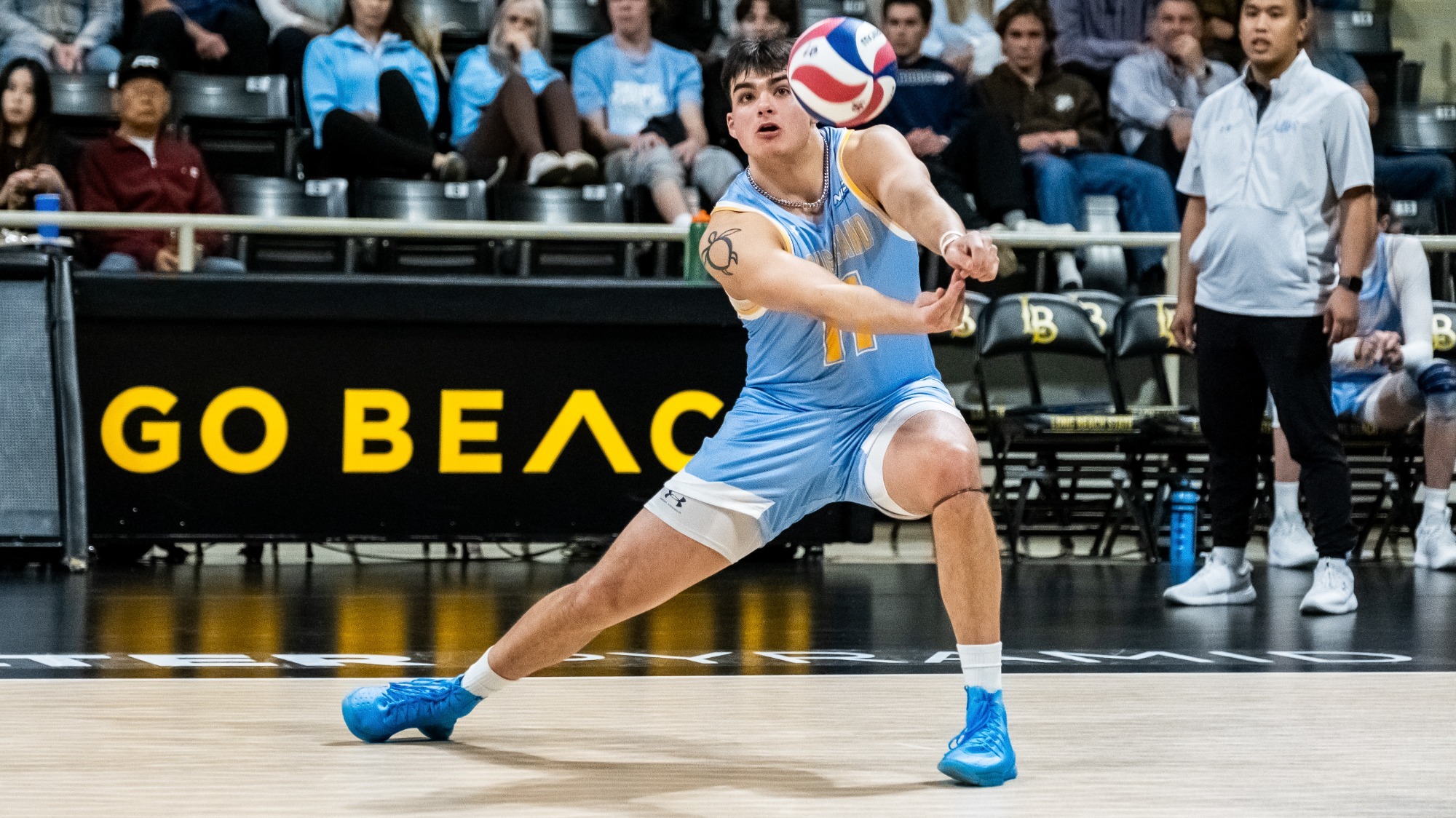 Long Island University Athletics