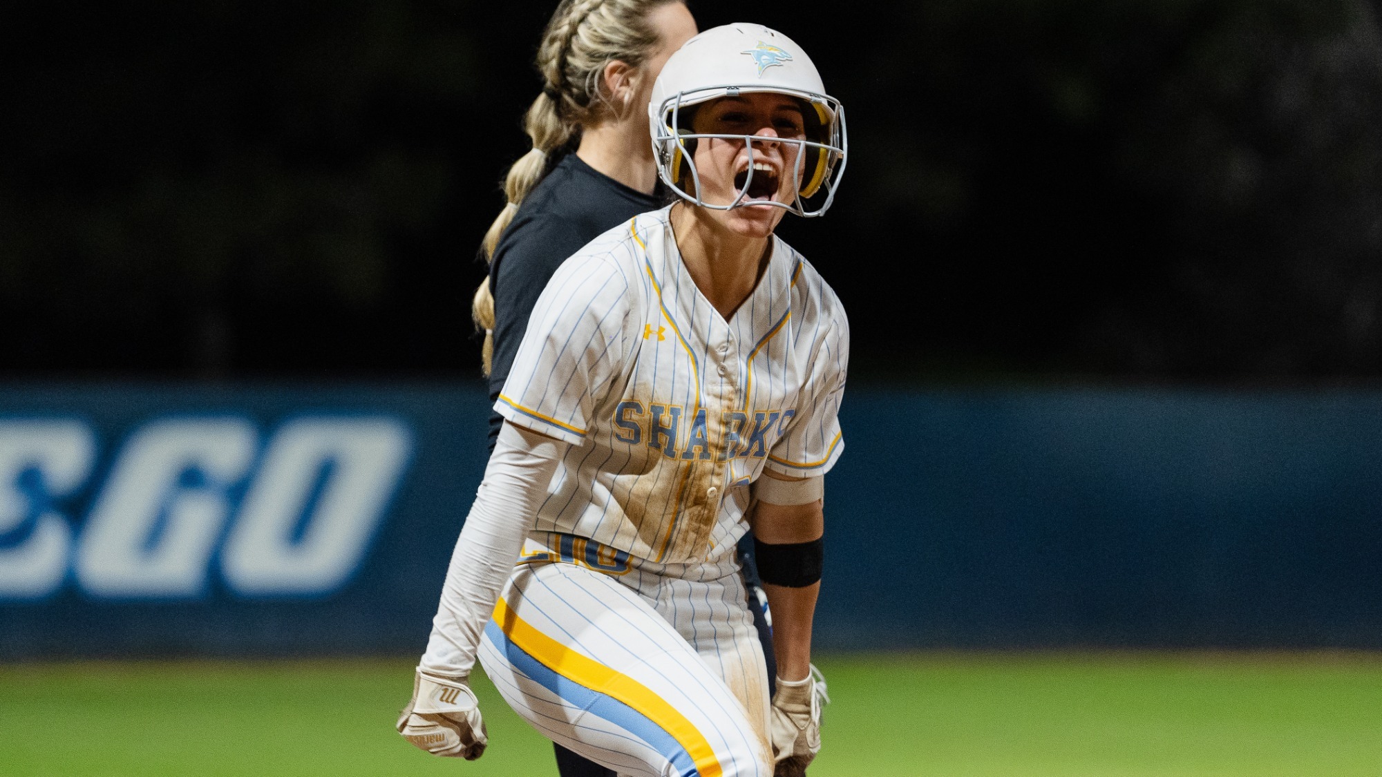 Long Island University Athletics