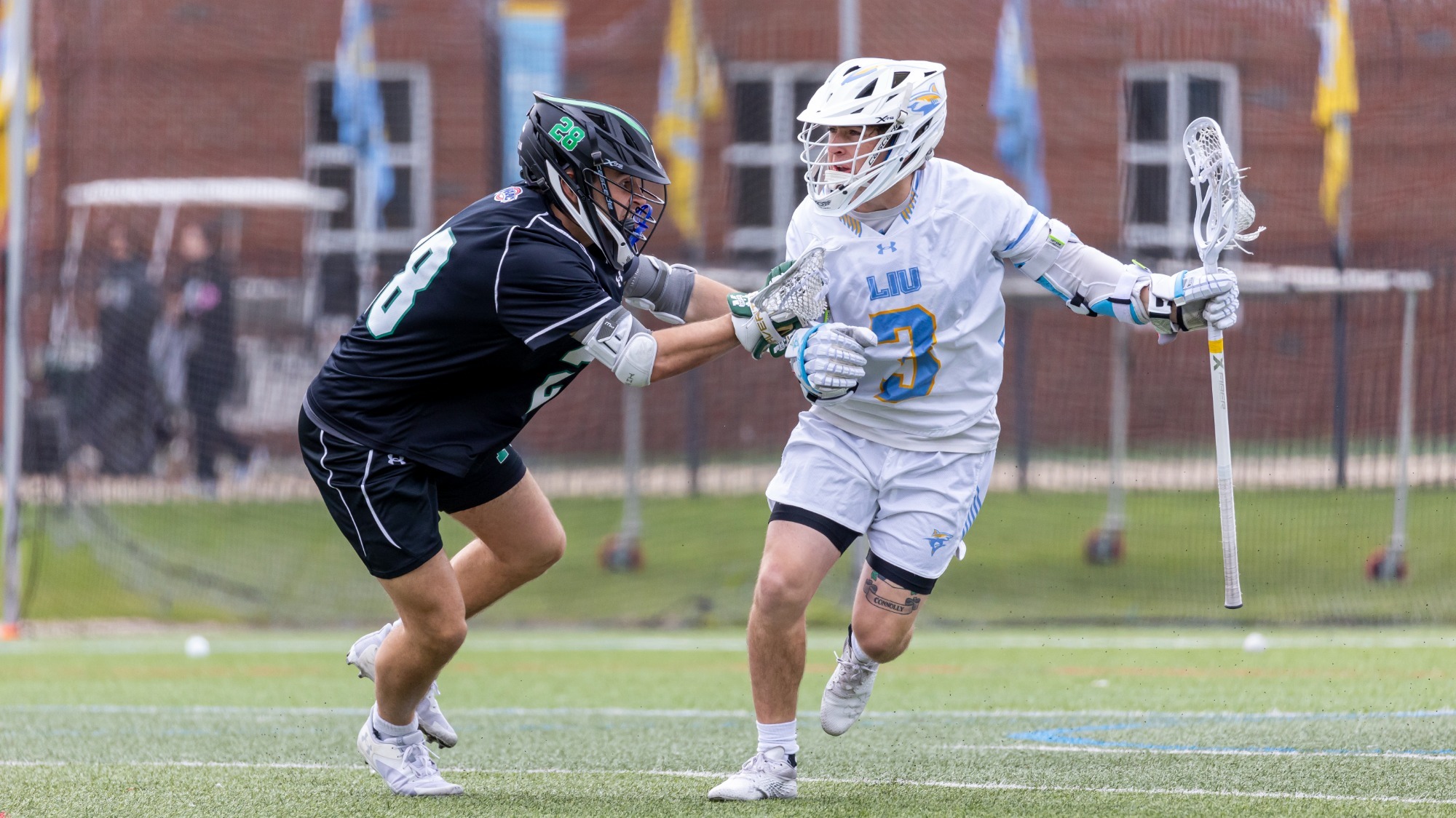 Long Island University Athletics