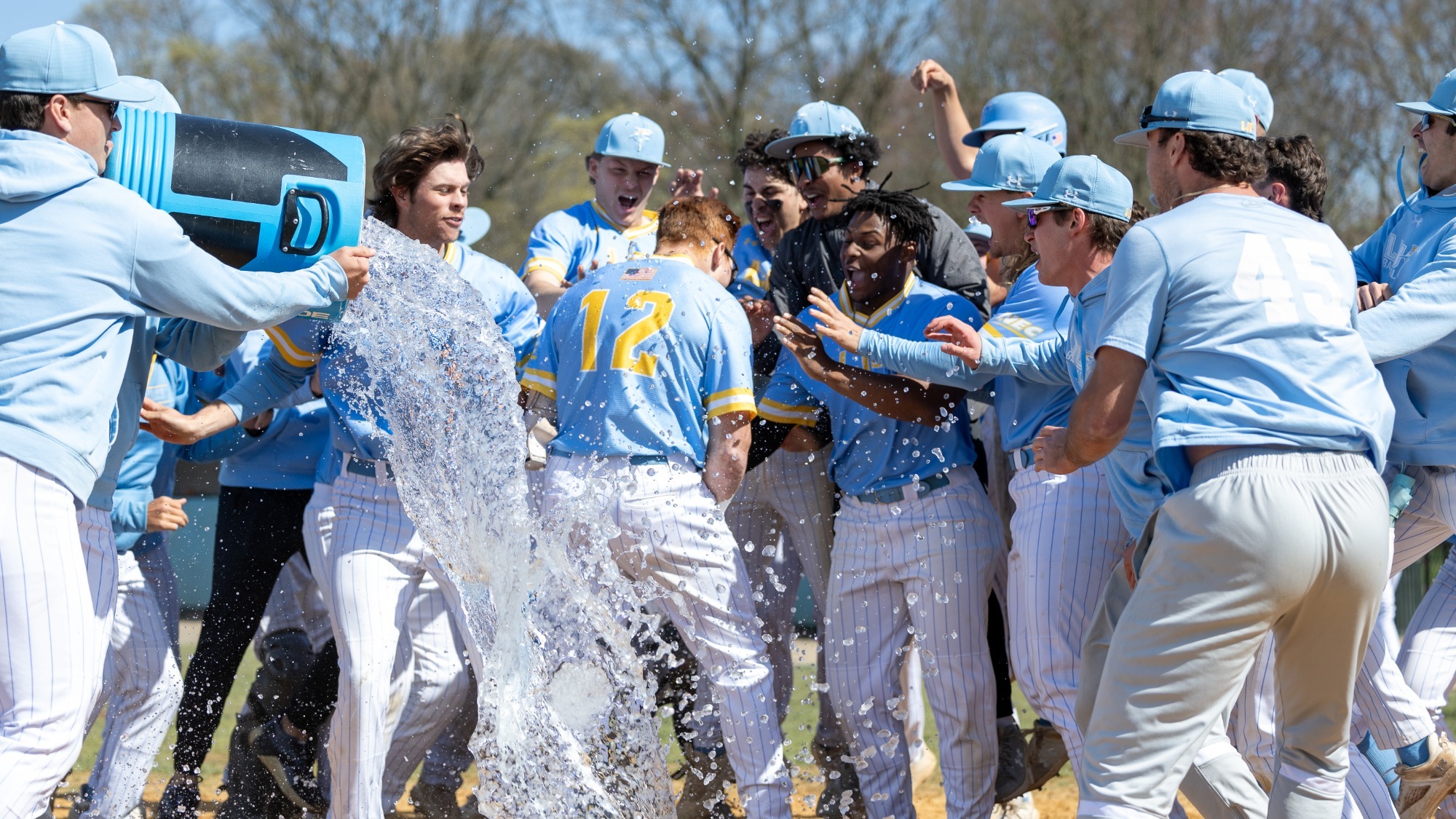 Long Island University Athletics