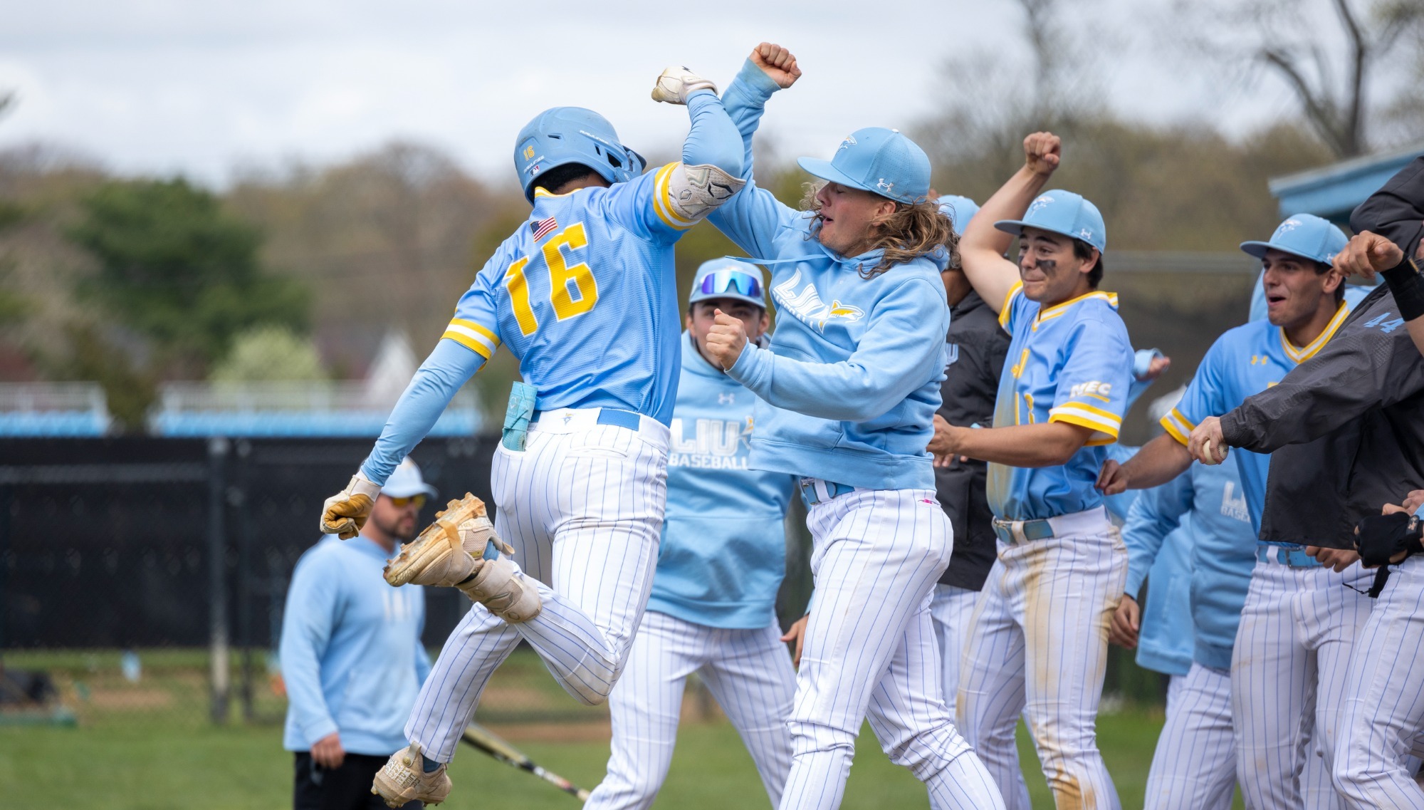 Long Island University Athletics