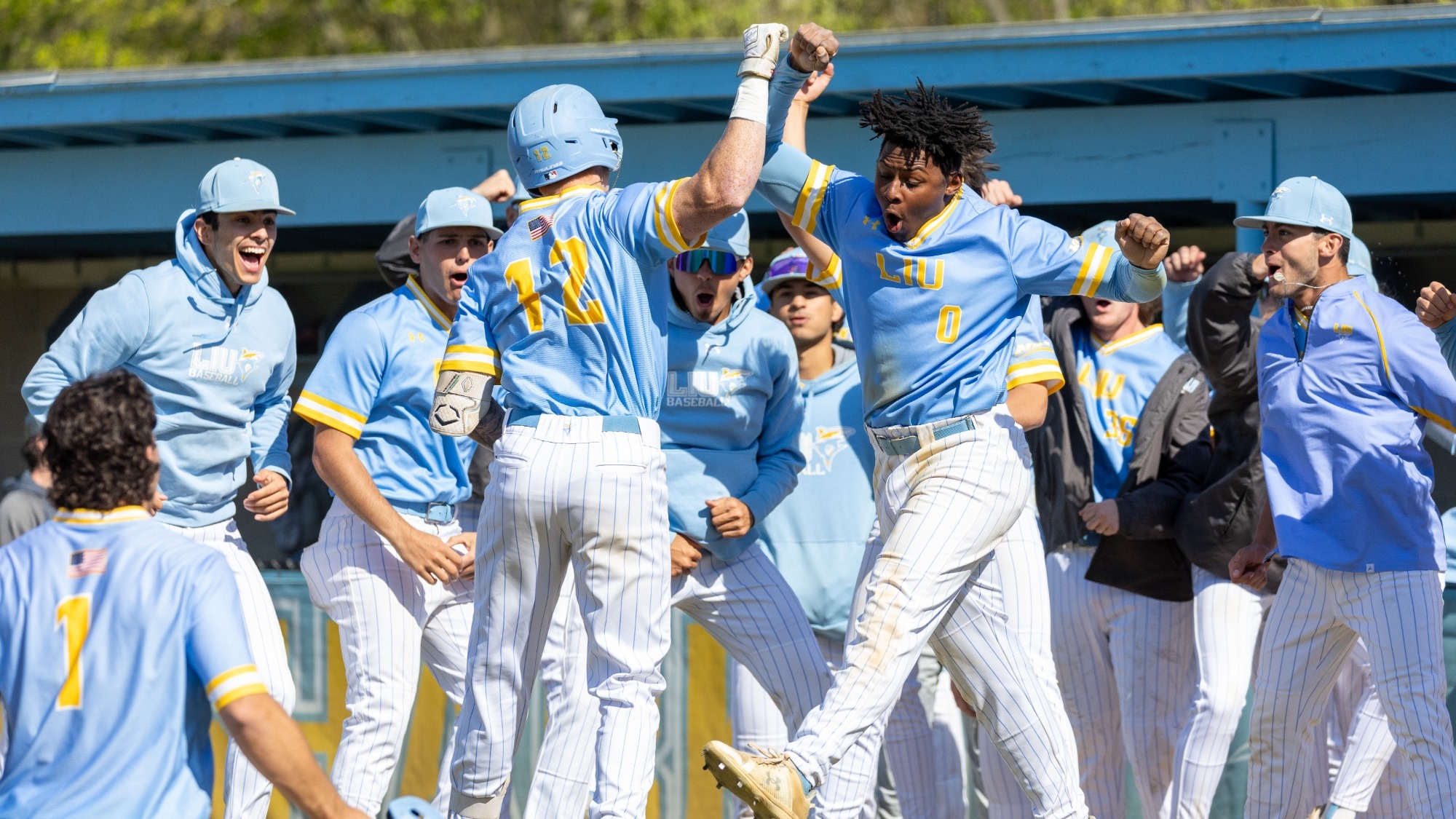 Long Island University Athletics