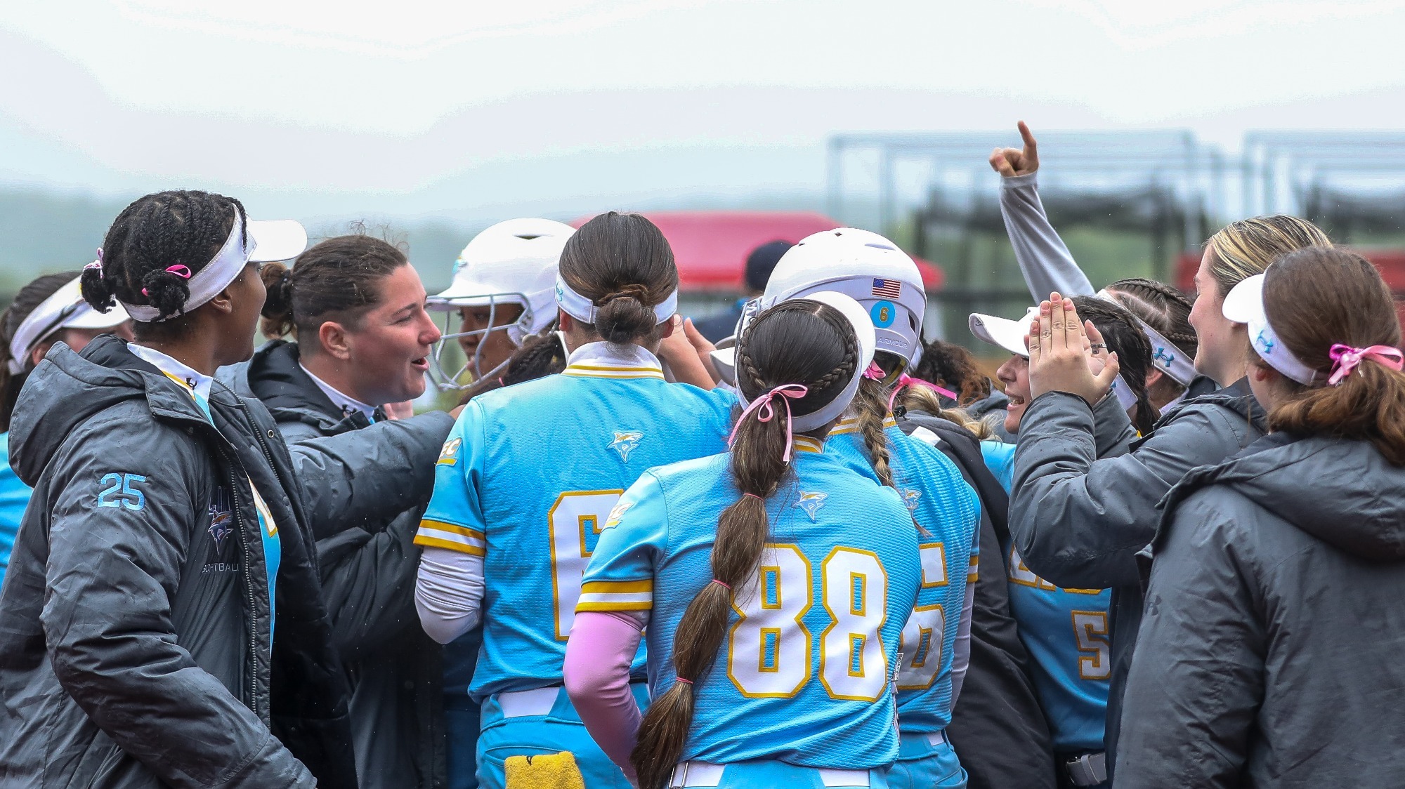 Long Island University Athletics