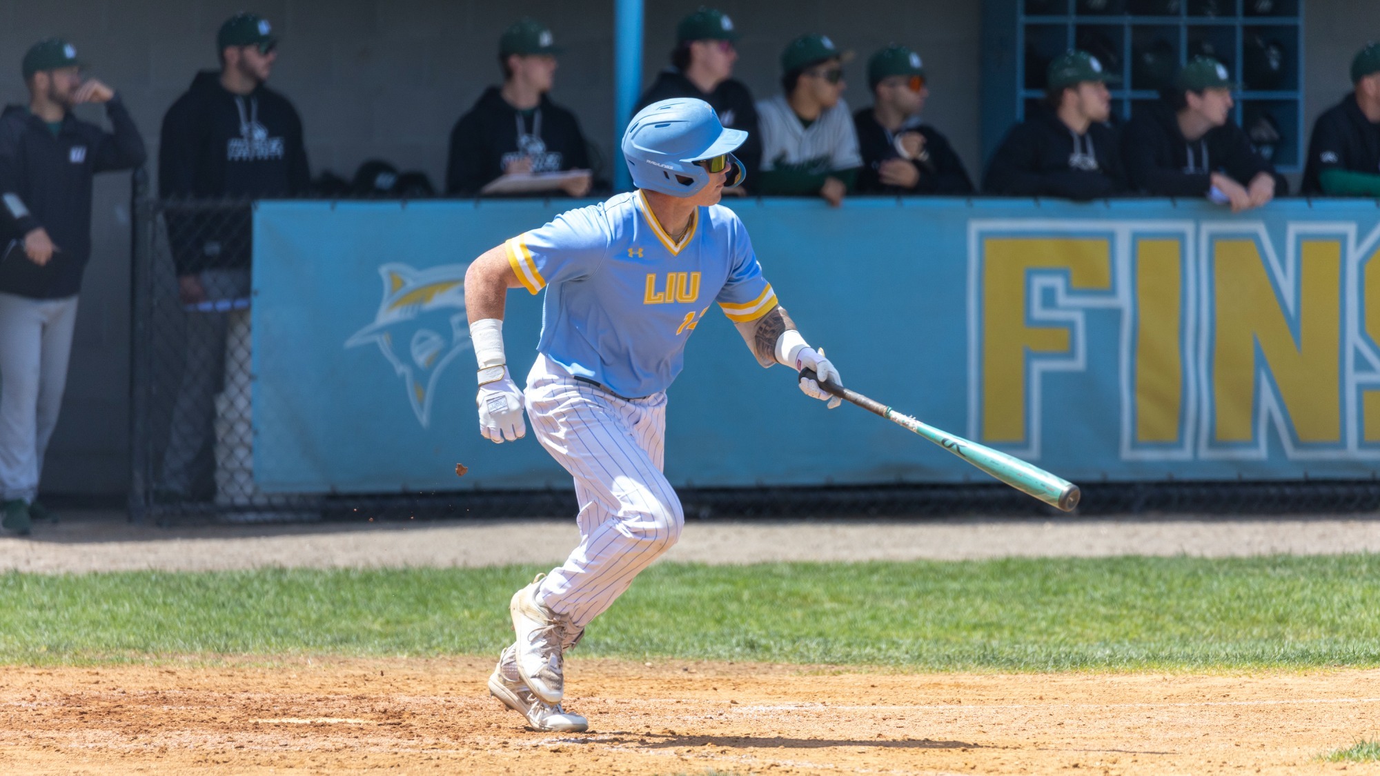 Long Island University Athletics