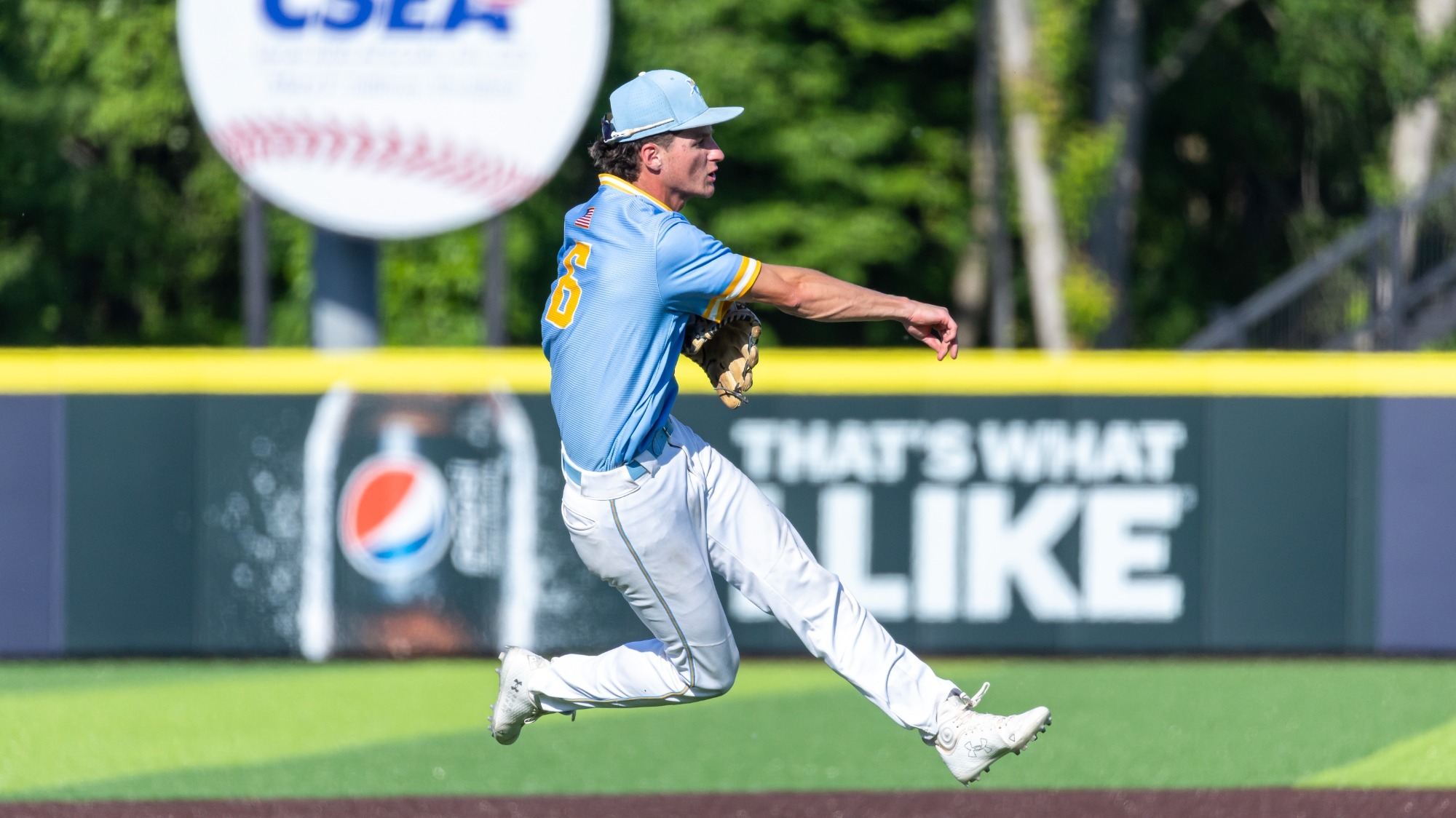 Long Island University Athletics