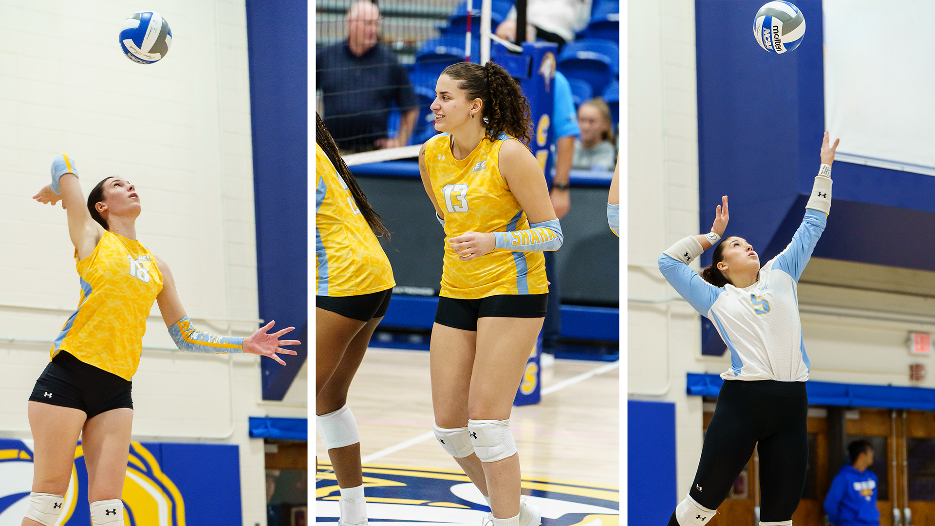 Long Island University Athletics