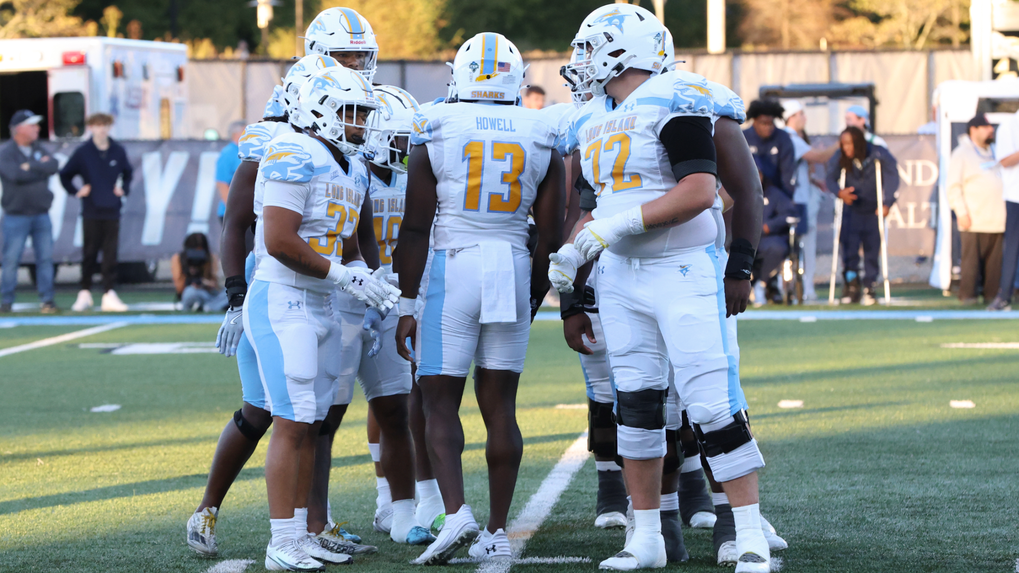 Long Island University Athletics