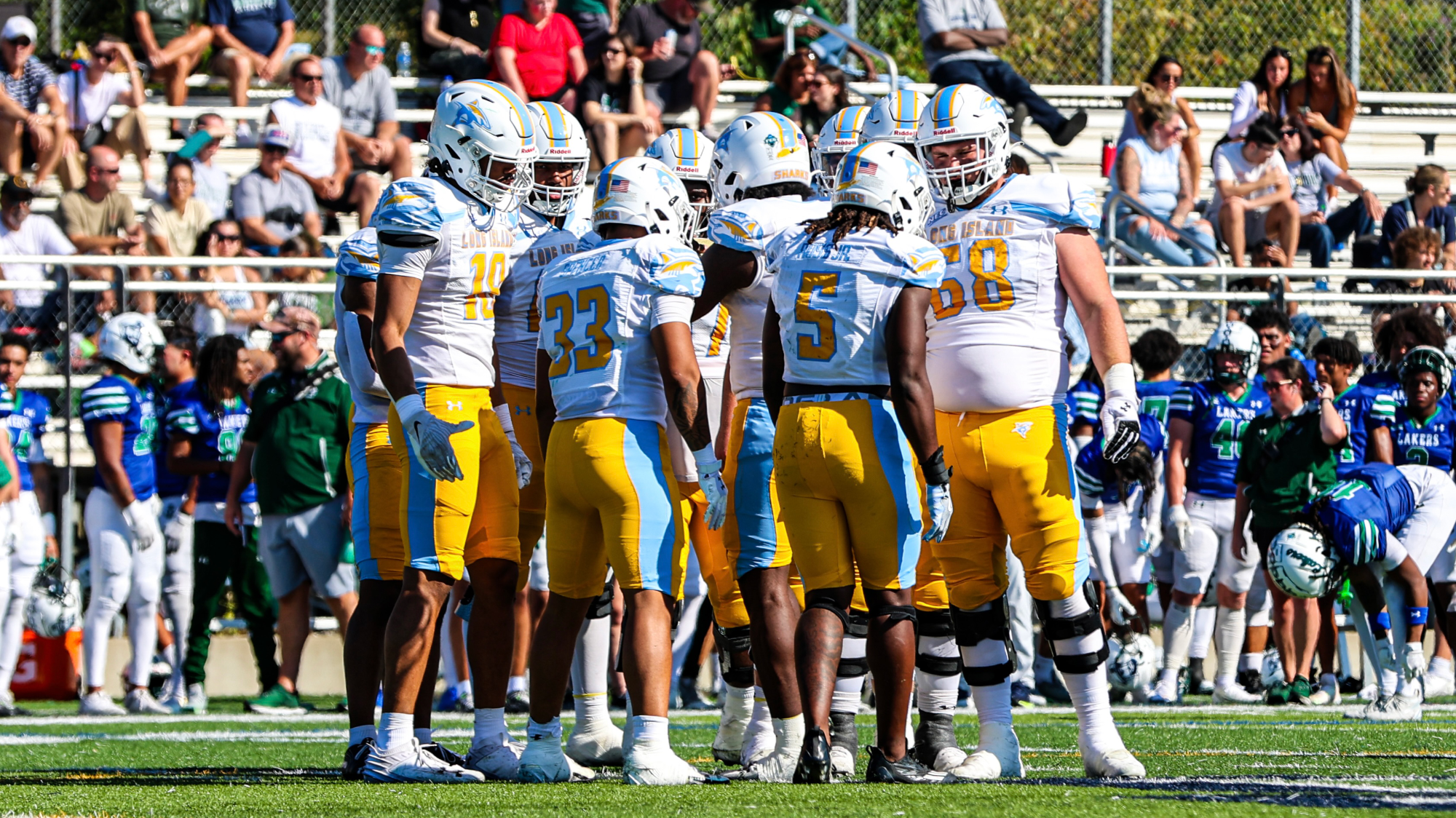 Long Island University Athletics