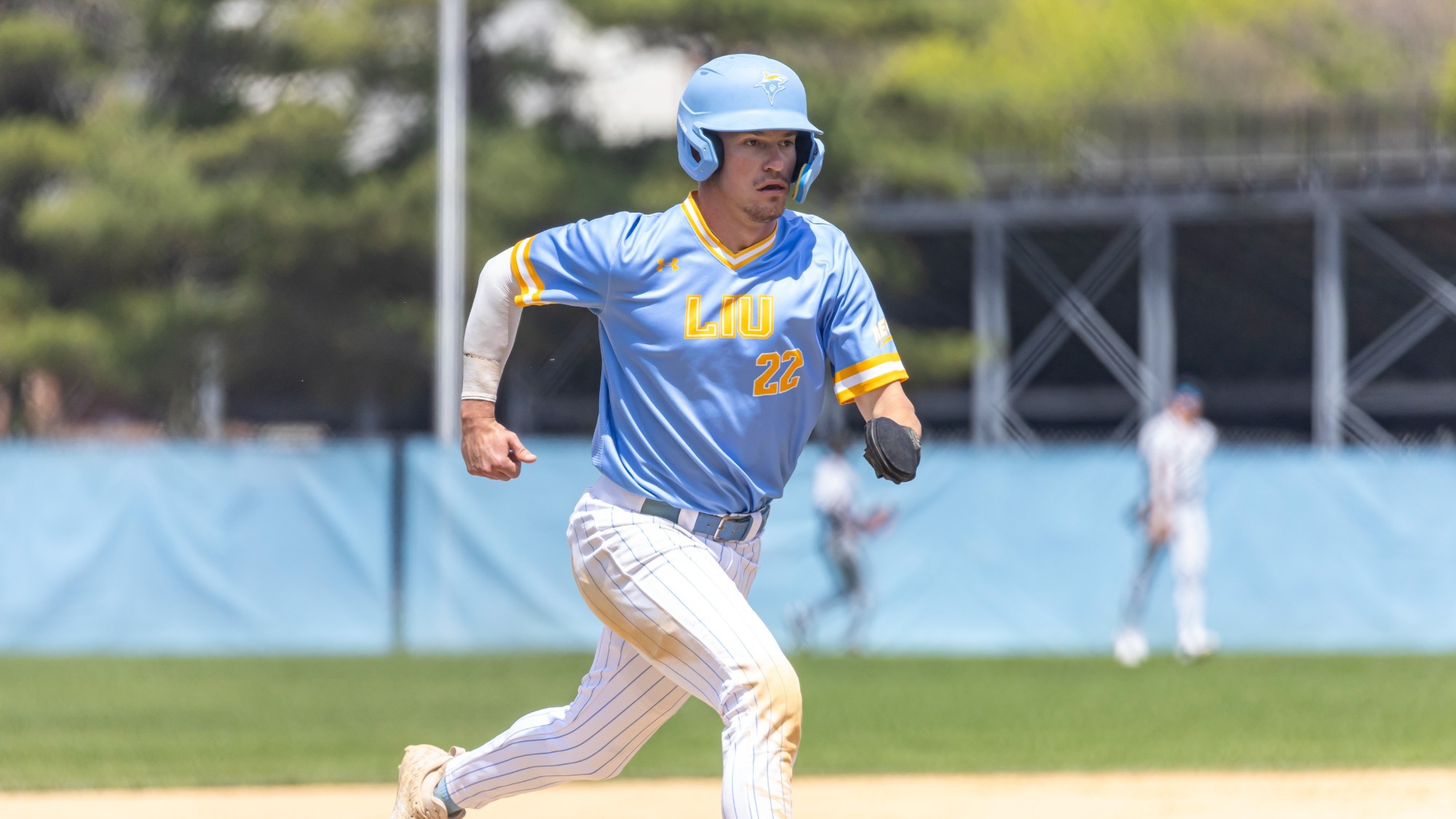 Long Island University Athletics