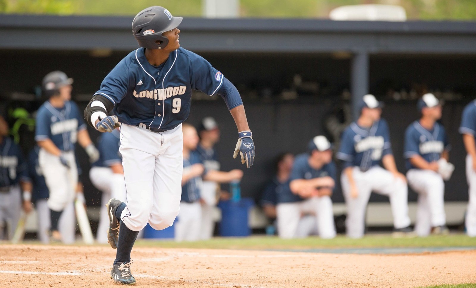 Janos Briscoe - Baseball - Longwood University Athletics
