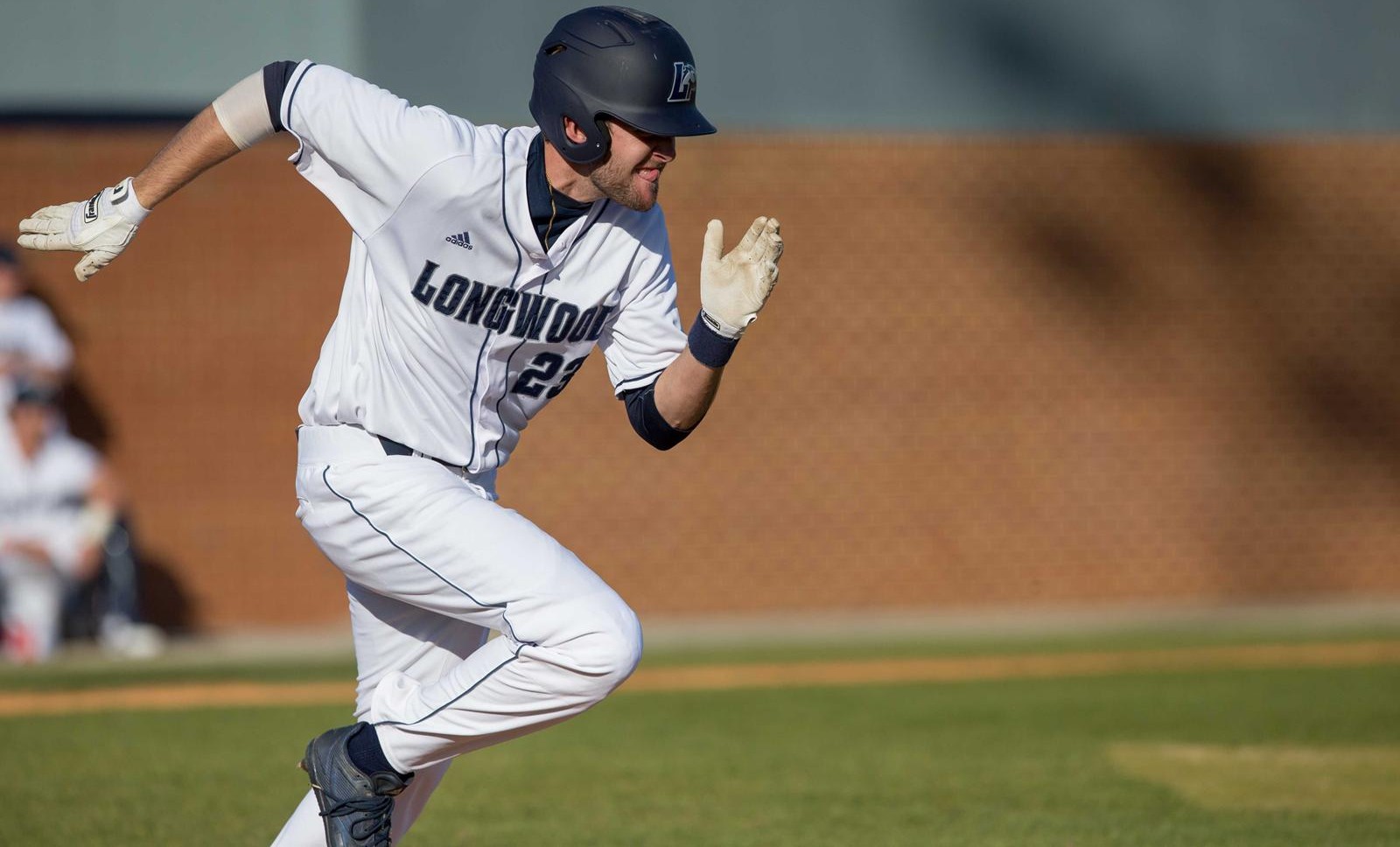 Ryan Shull - Baseball - Longwood University Athletics
