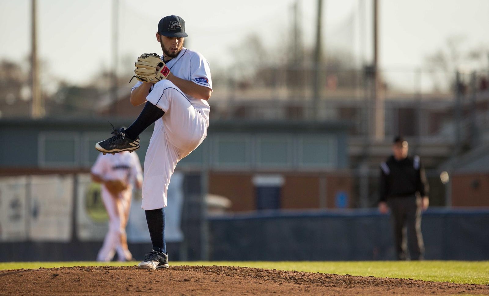 Travis Riley - Baseball - Longwood University Athletics