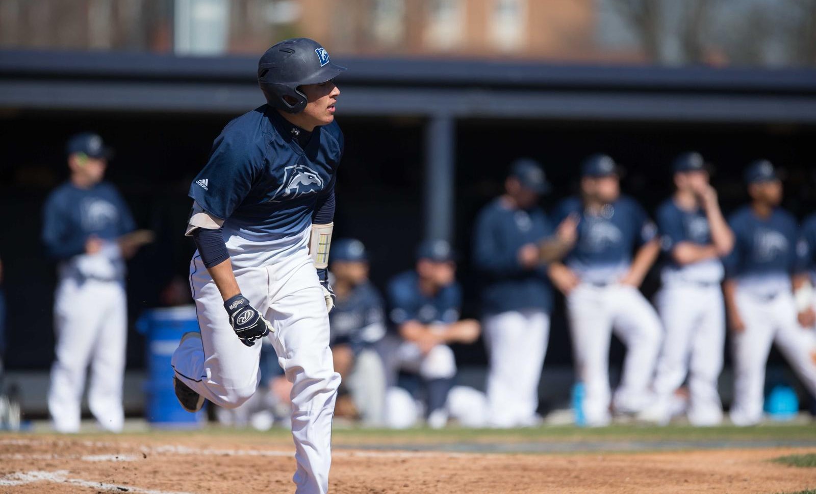 Carlos Garrido - Baseball - Longwood University Athletics