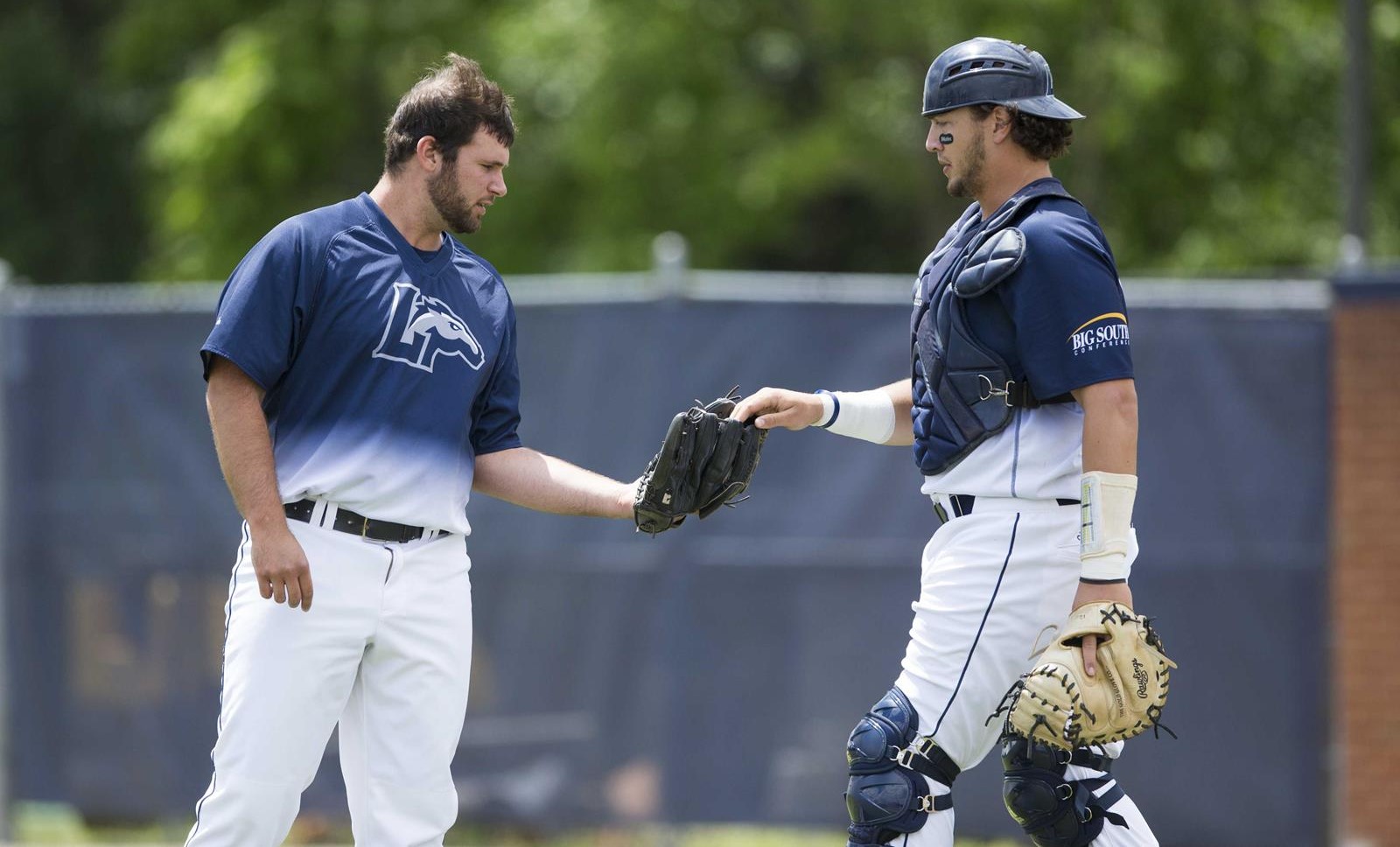 Mac McCafferty - Baseball - Longwood University Athletics