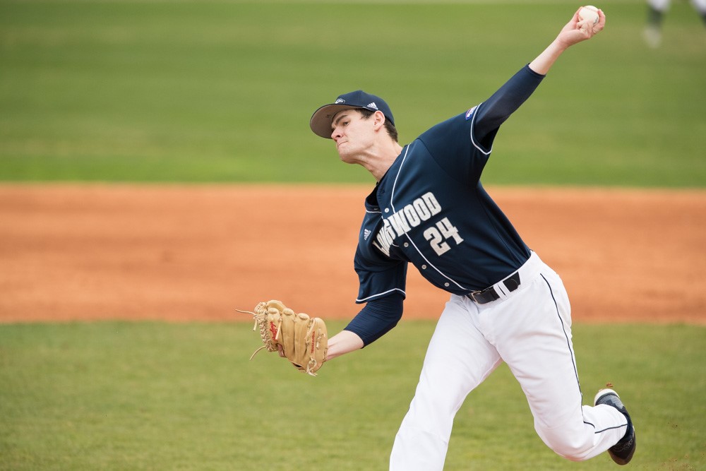 Michael Catlin - Baseball - Longwood University Athletics