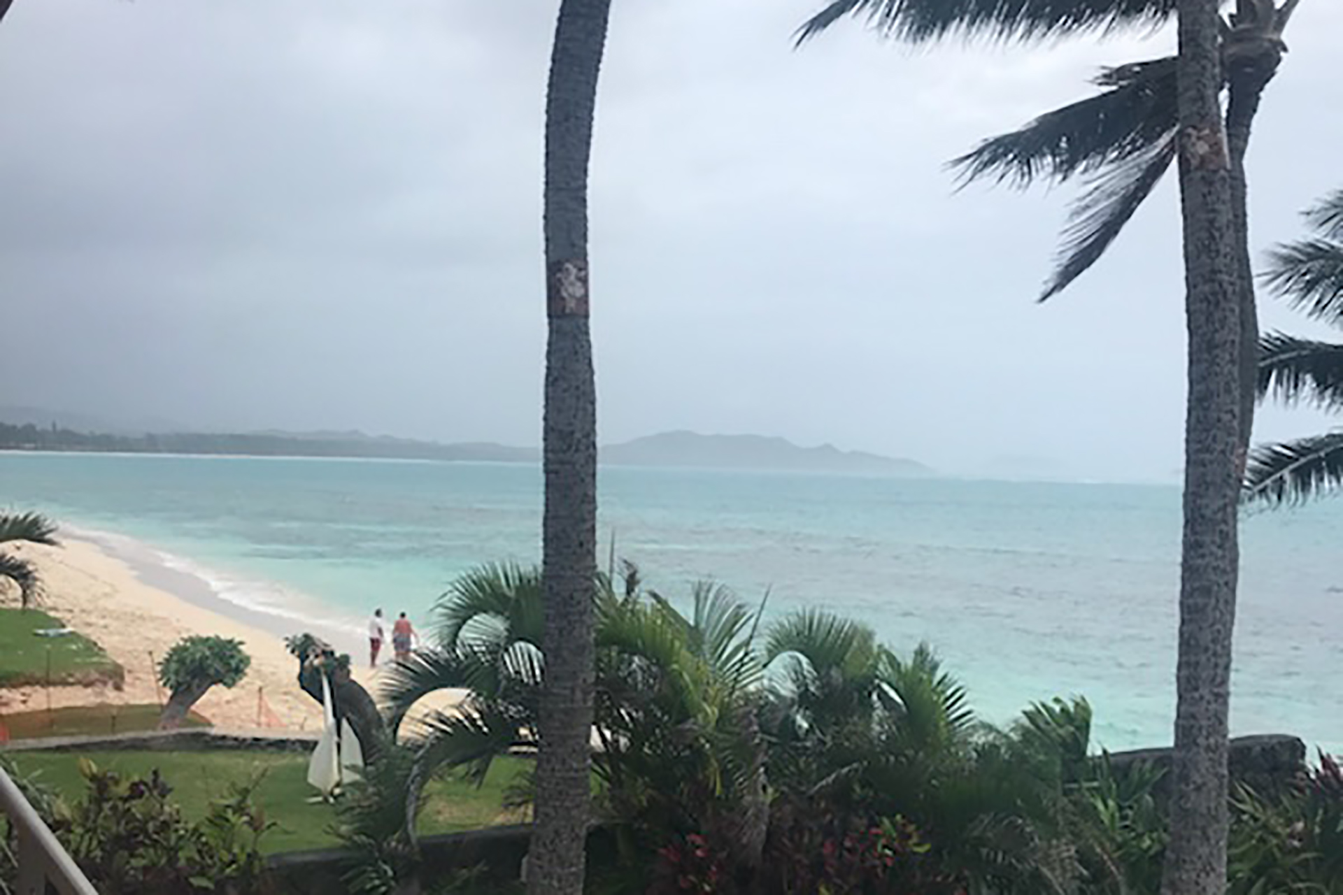 Kelsey Sweeney - Softball - Longwood University Athletics