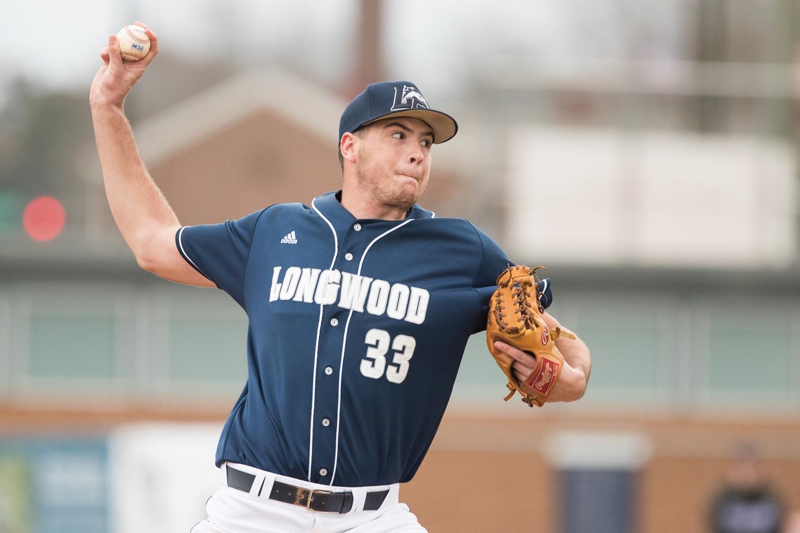 Eric Harp - Baseball - Longwood University Athletics