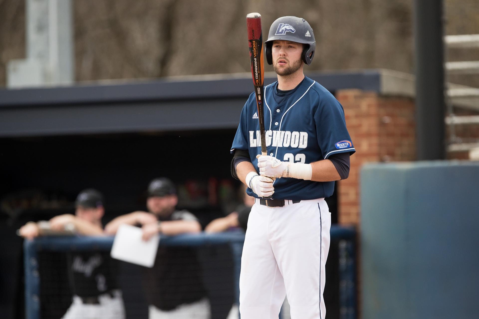 Ryan Shull - Baseball - Longwood University Athletics