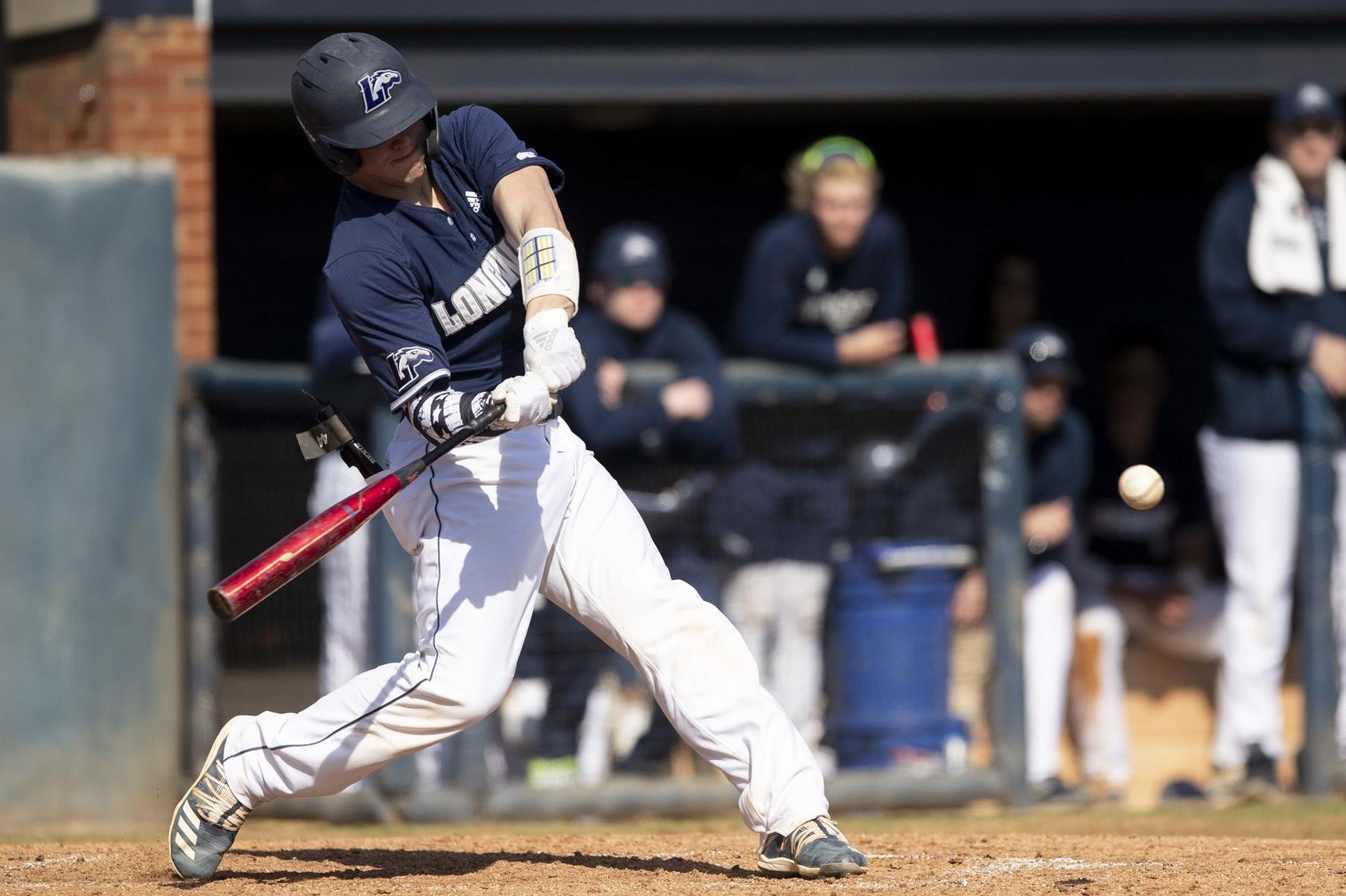 Justin Looney - Baseball - Longwood University Athletics