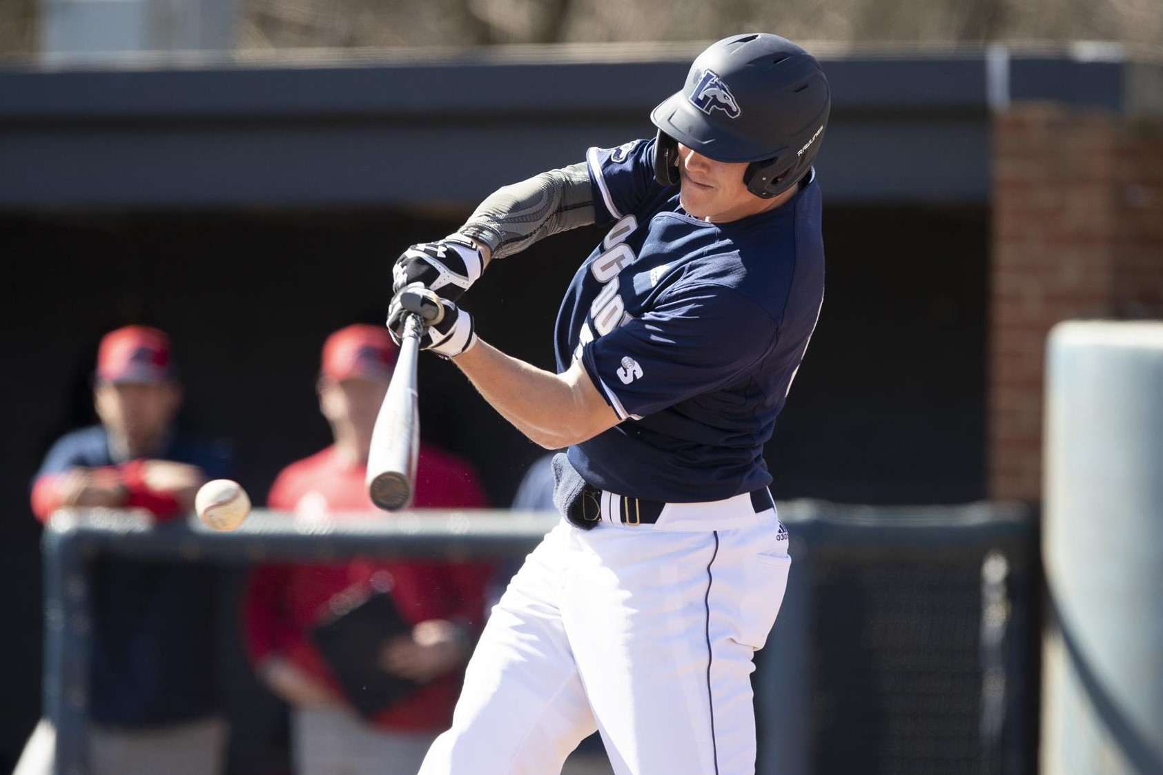 Andrew Gorham - Baseball - Longwood University Athletics