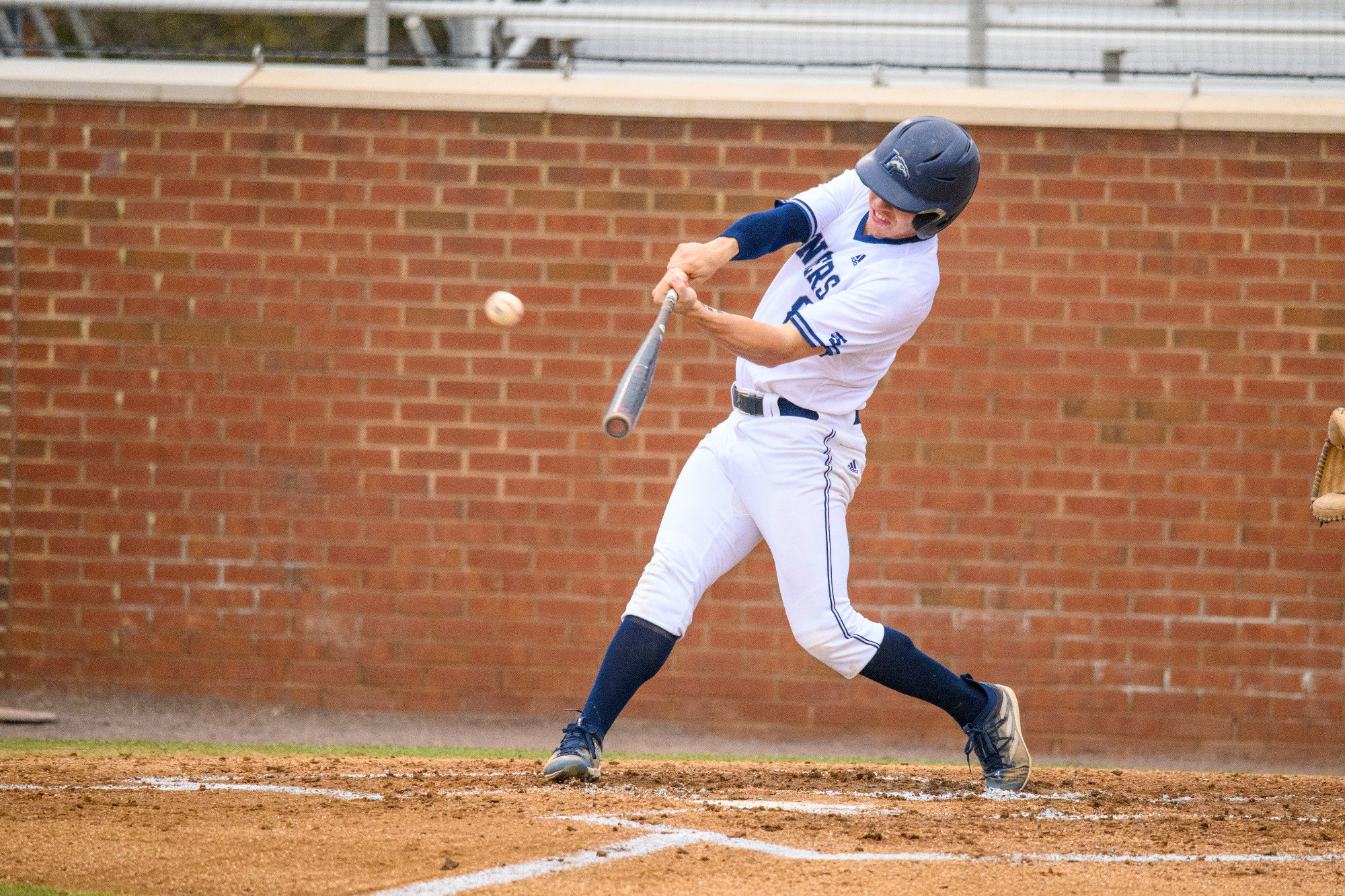 Dylan Wilkinson - Baseball - Longwood University Athletics