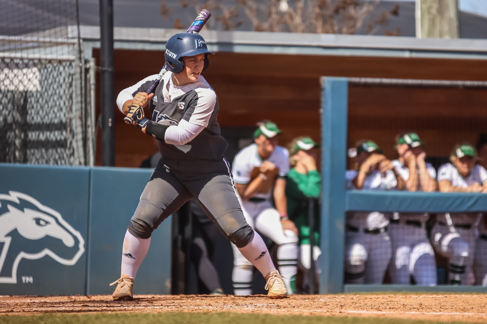 Kelly Park - Softball - Longwood University Athletics