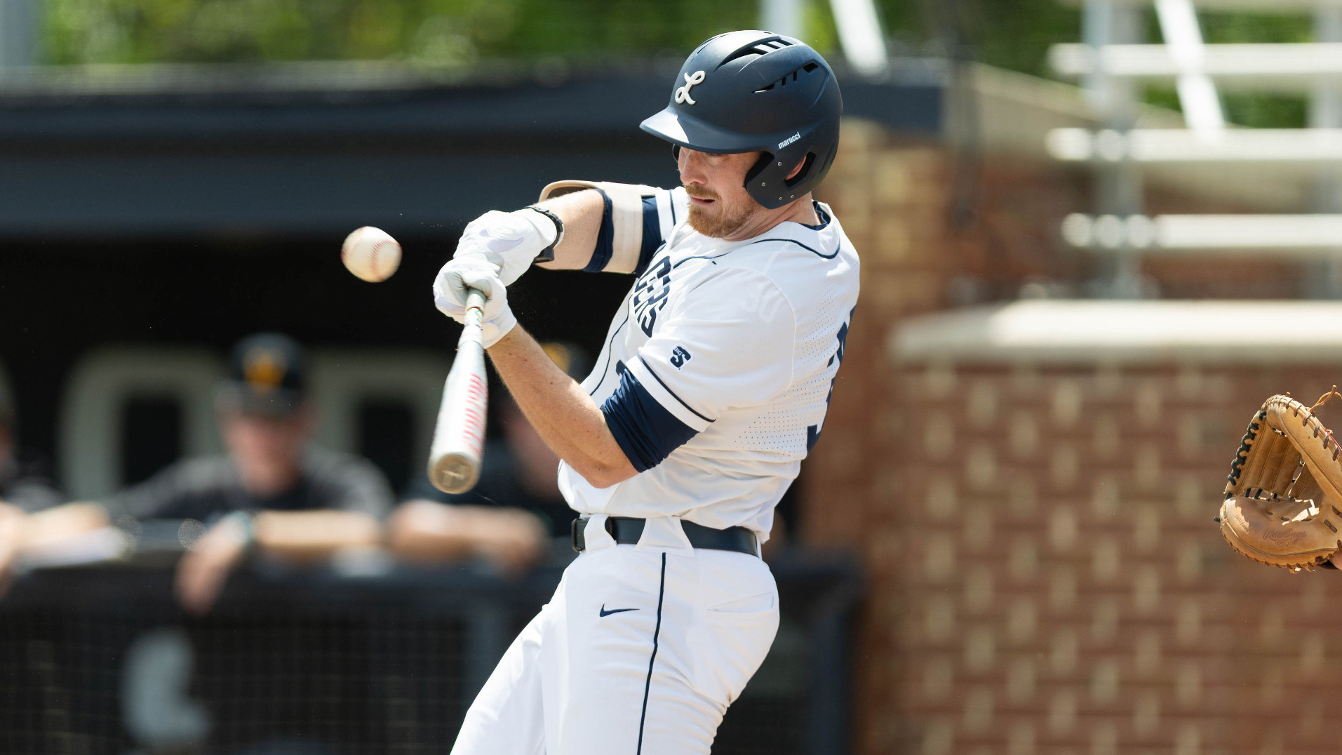 Welcome To Baseball Season - Longwood University Athletics