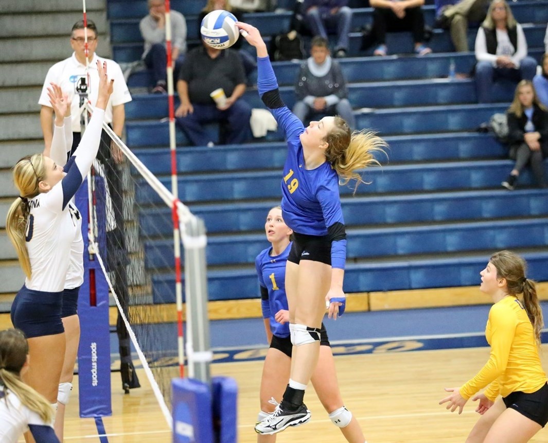 Tara Ziegelbein - Volleyball - University of Nebraska - Kearney Athletics