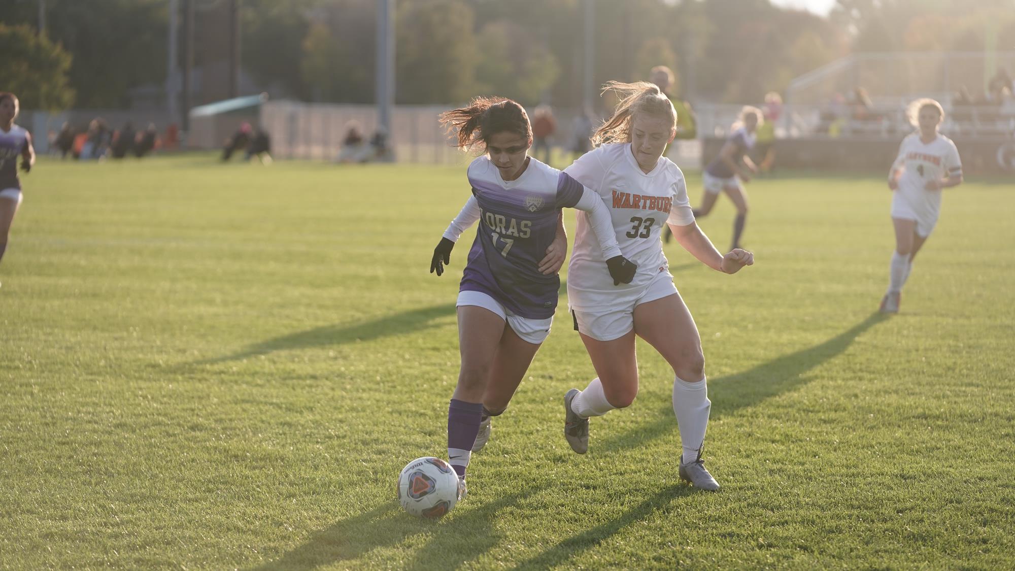 Duhawks Battle Knights - Loras College Athletics