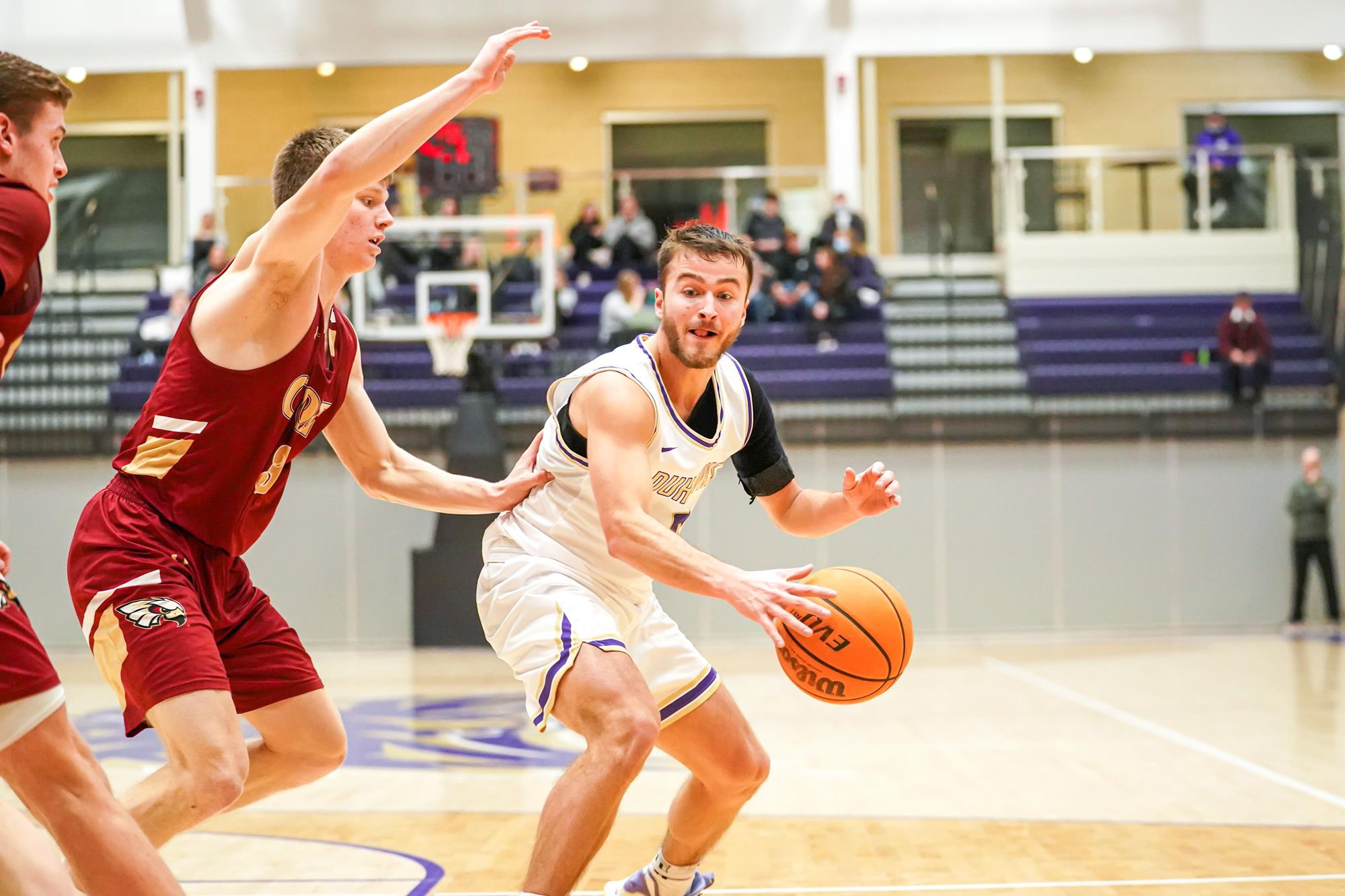 Jake Healy - Men's Basketball - Loras College Athletics