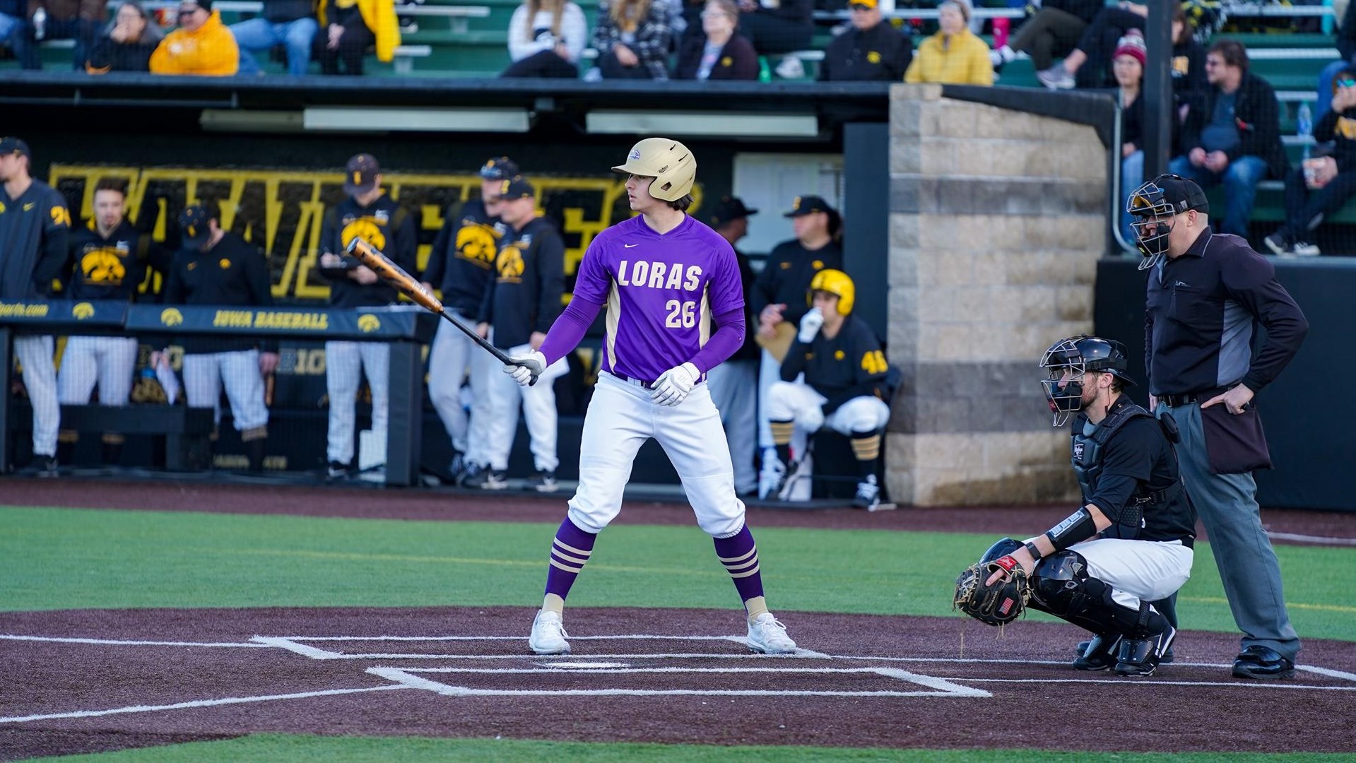 Daniel Rogers - Baseball - Loras College Athletics