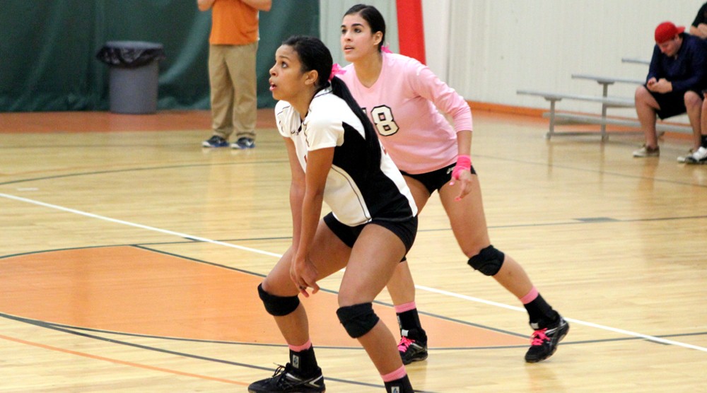 Angie Pagan-Perez - Women's Volleyball - Lourdes University Athletics