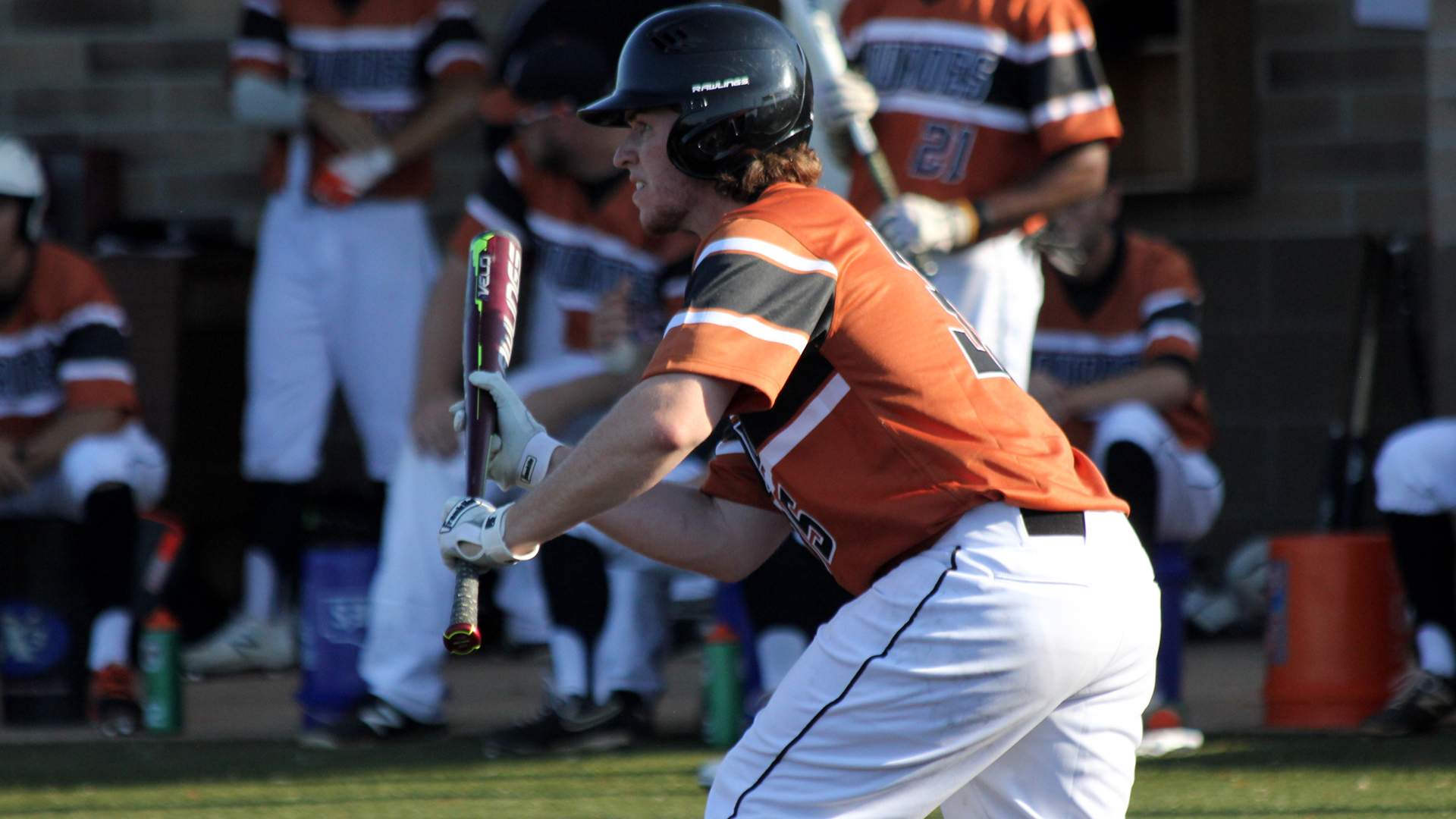 Kevin Suttles - Baseball - Lourdes University Athletics