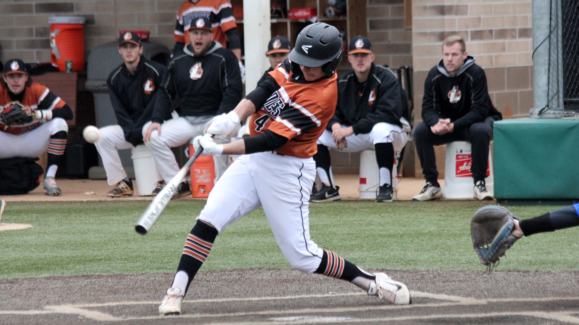 Braden Halford - Baseball - Lourdes University Athletics