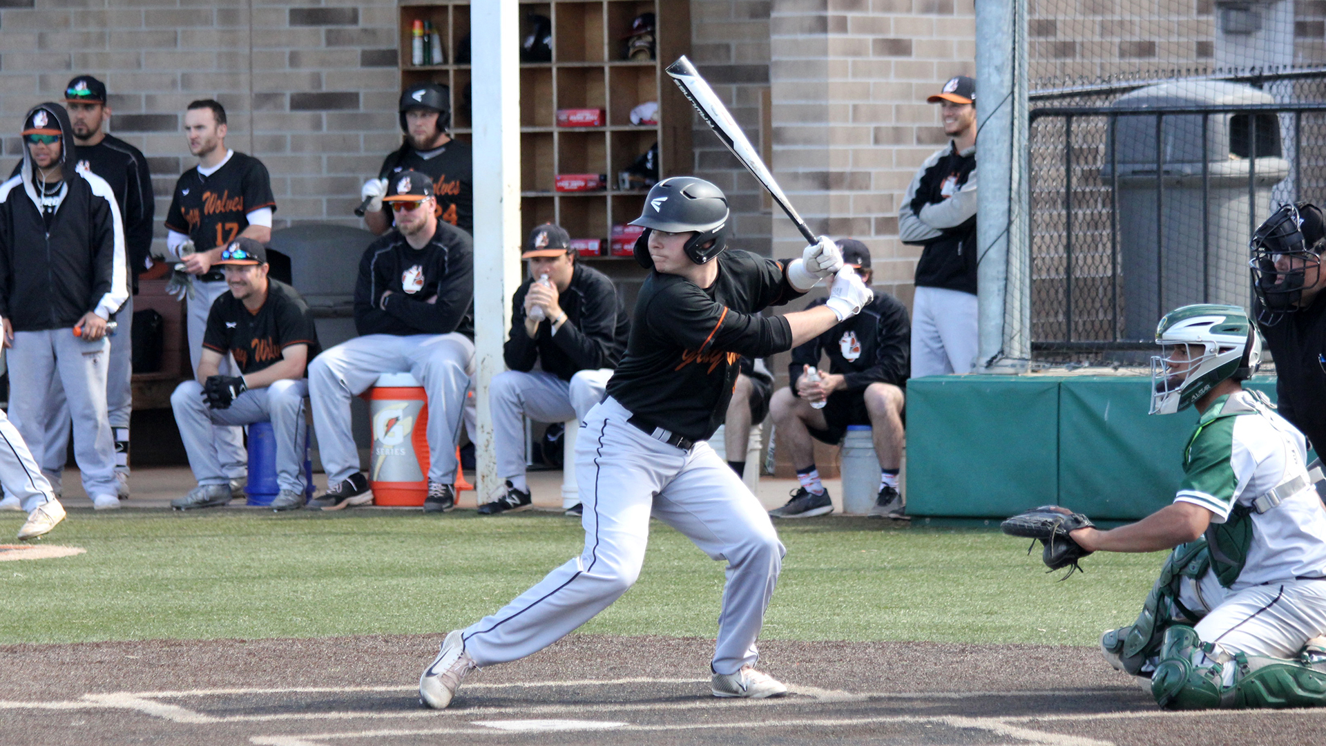 Braden Halford - Baseball - Lourdes University Athletics