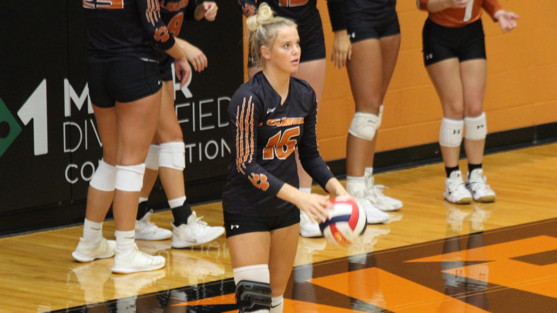 Chelsie Raabe - Women's Volleyball - Lourdes University Athletics