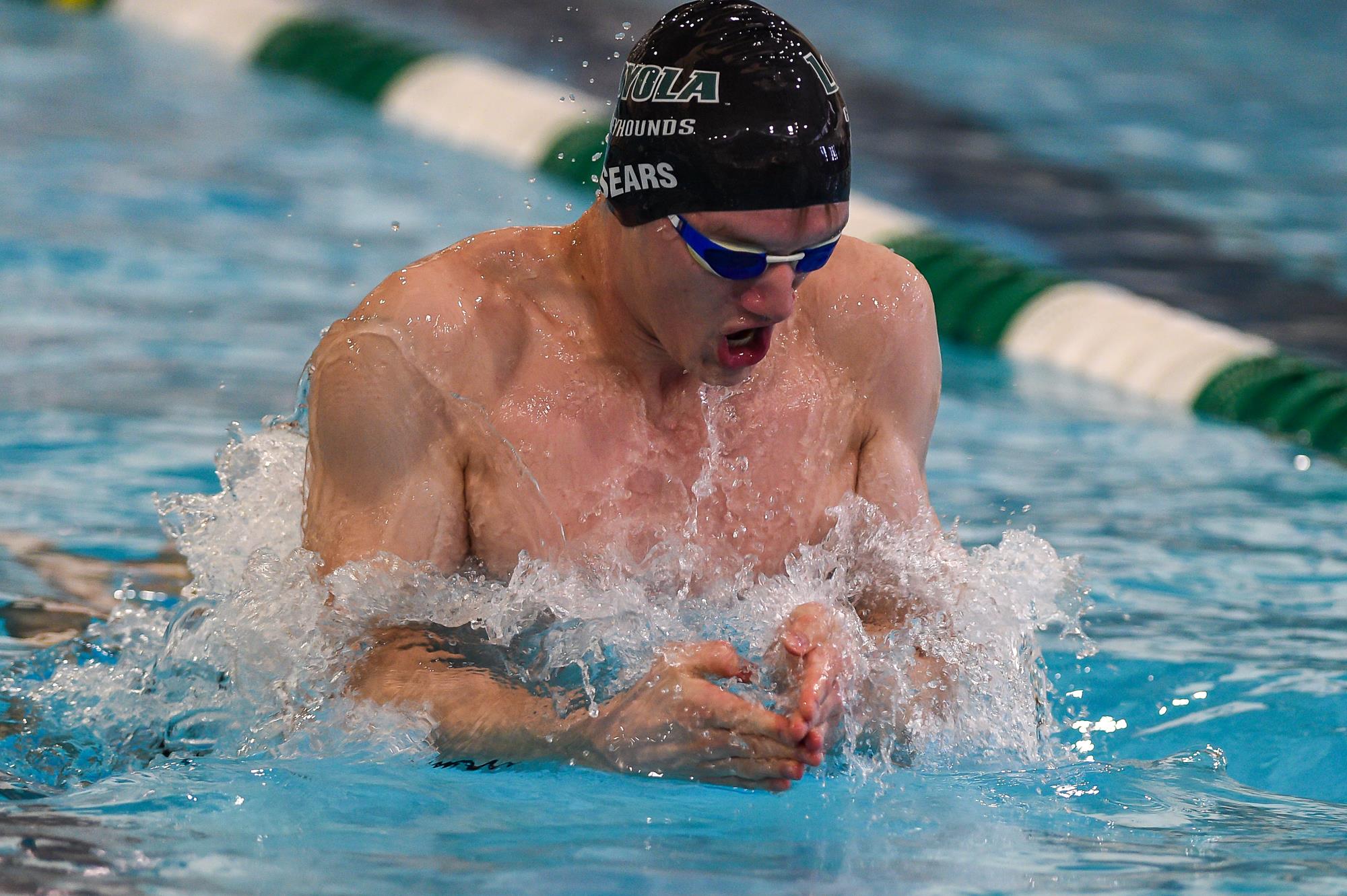 David Sears - Swimming & Diving - Loyola University Maryland Athletics