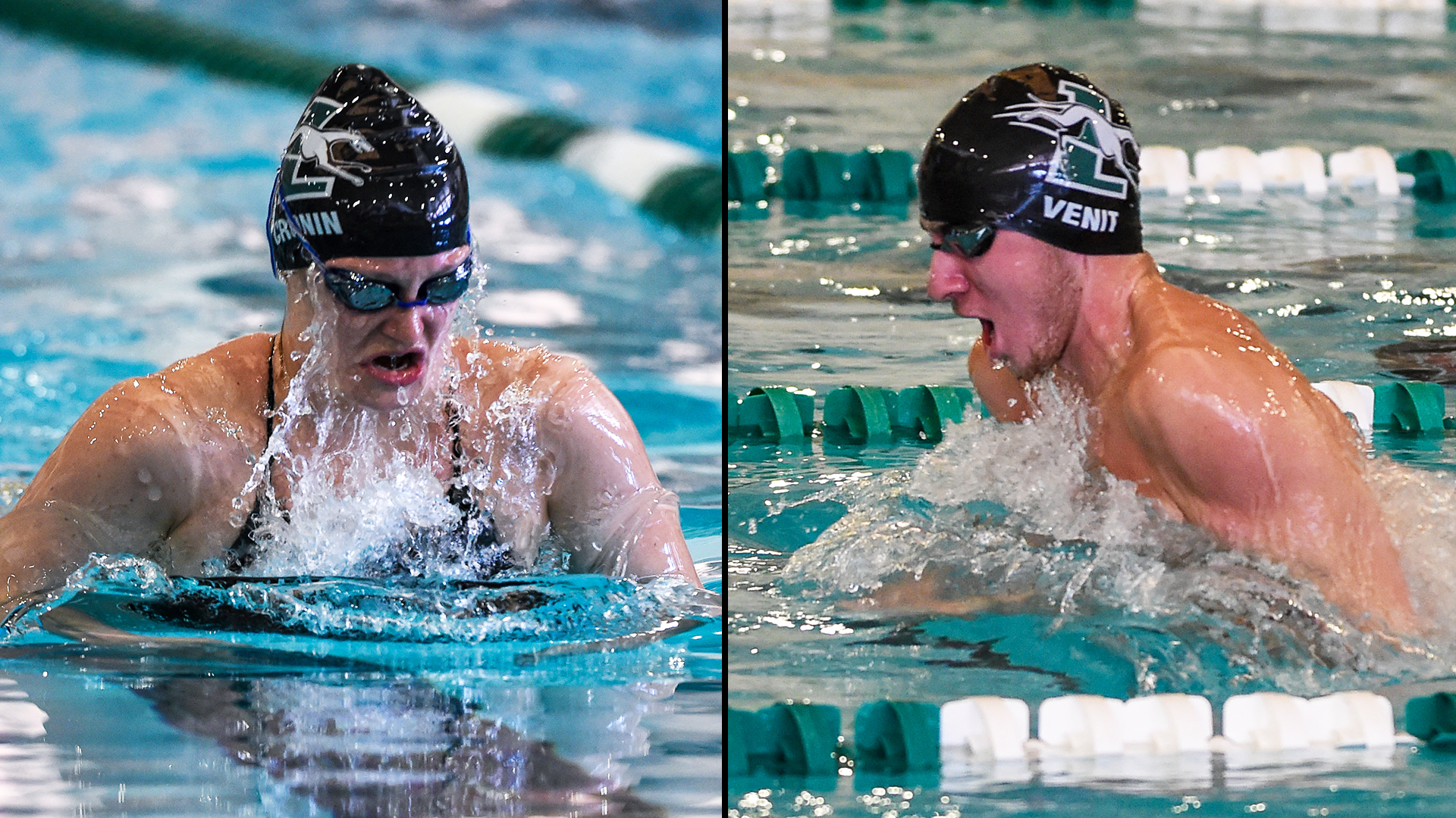 Swimming and Diving Sweeps Breaststroke Events at Copa Coqui in Puerto ...