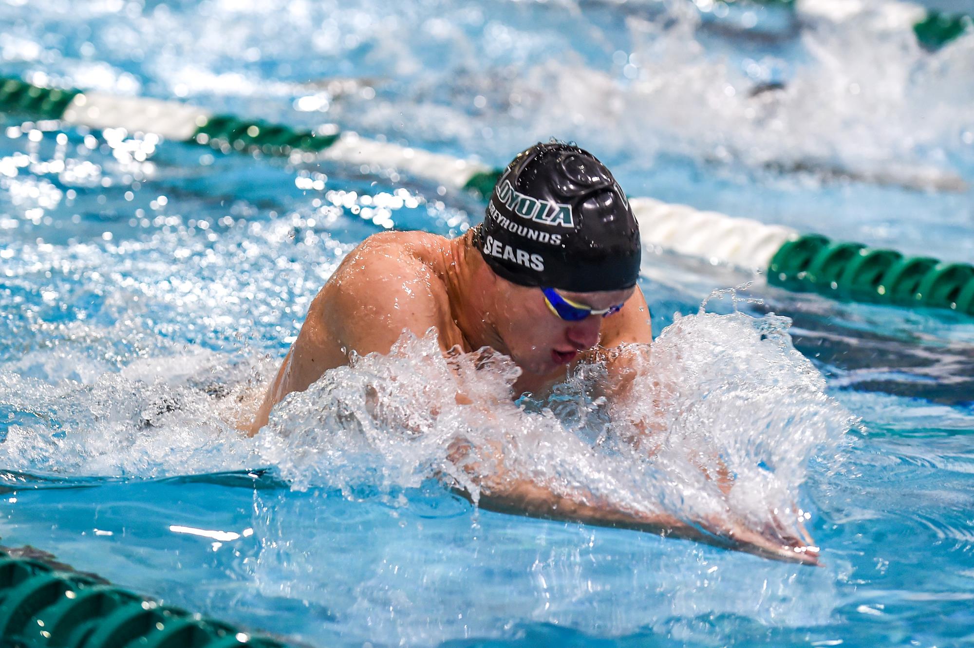 David Sears - Swimming & Diving - Loyola University Maryland Athletics
