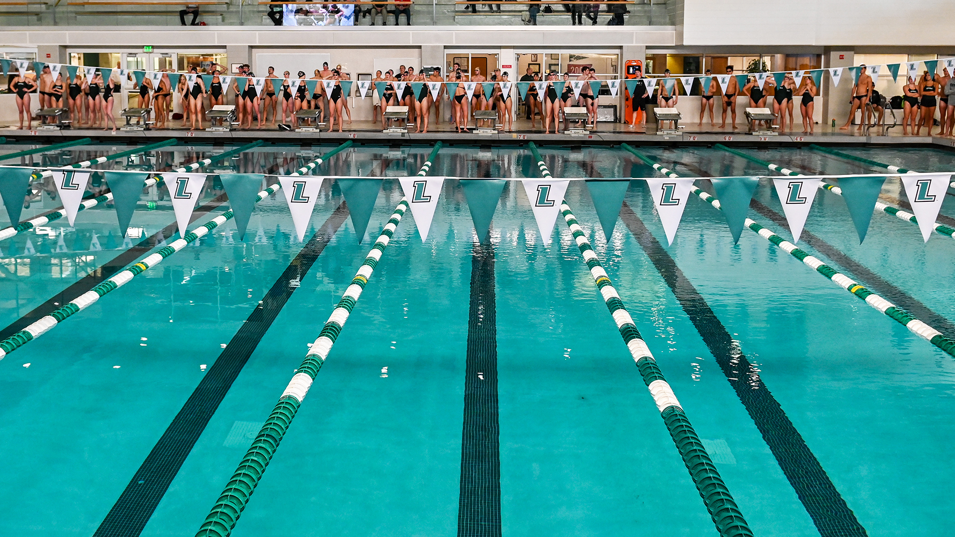 Kelly, Still Receive Patriot League Weekly Swimming & Diving Awards ...