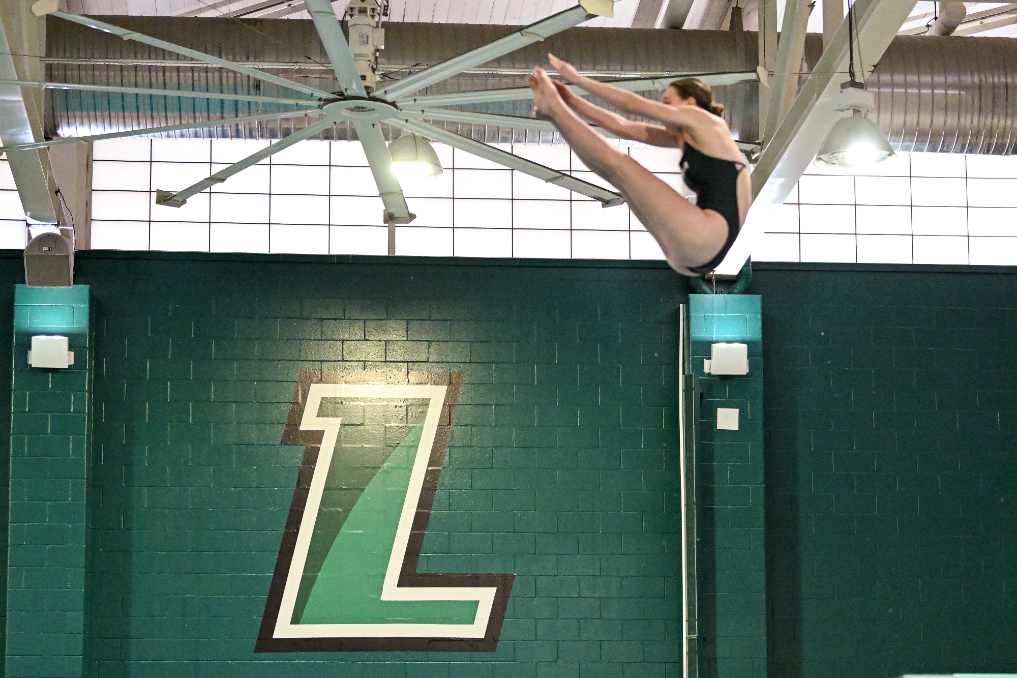 Fasser Wins On 1-meter Board As Divers Compete At Rider - Loyola ...