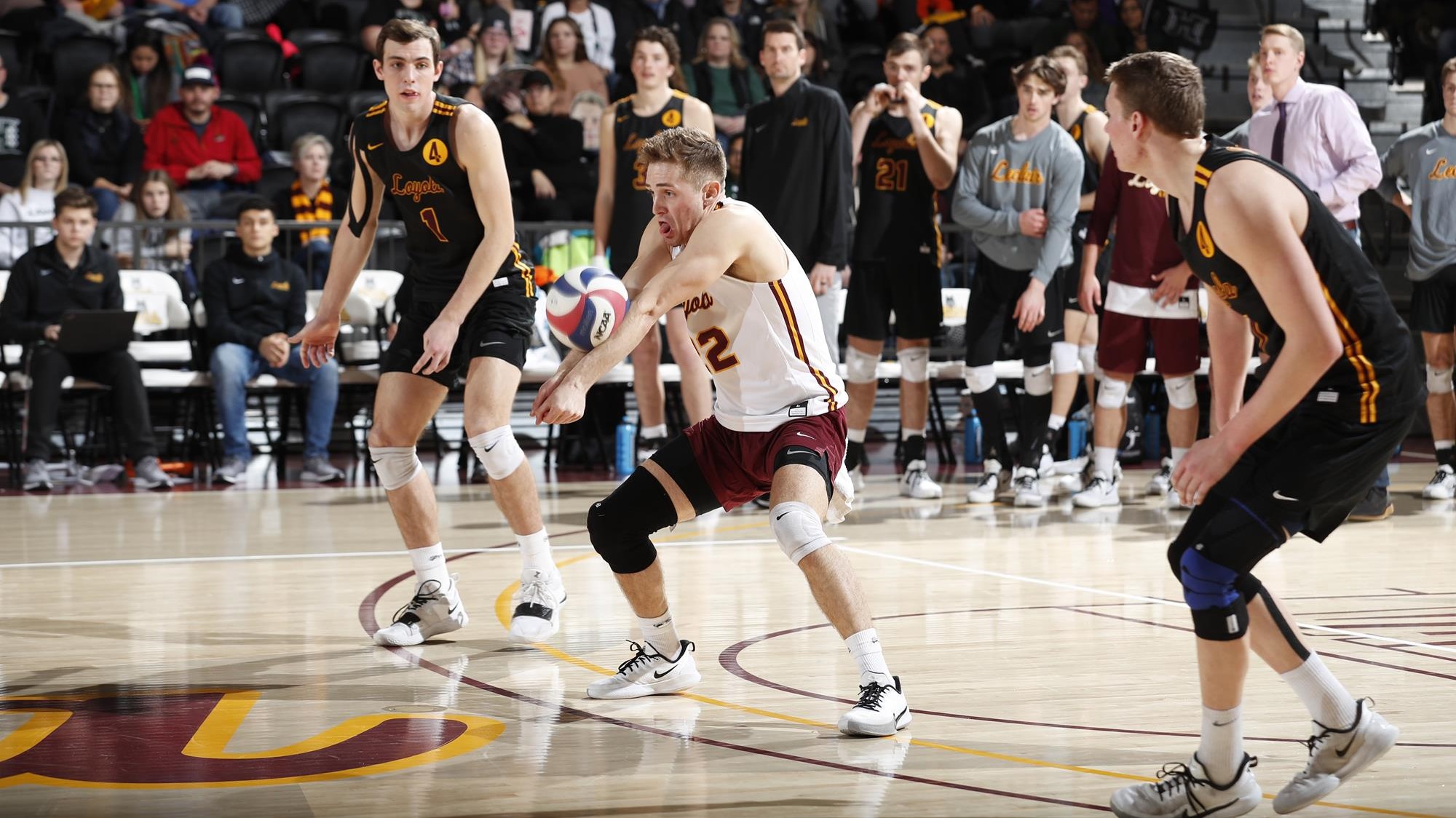Taylan Cook - Men's Volleyball - Loyola University Chicago Athletics