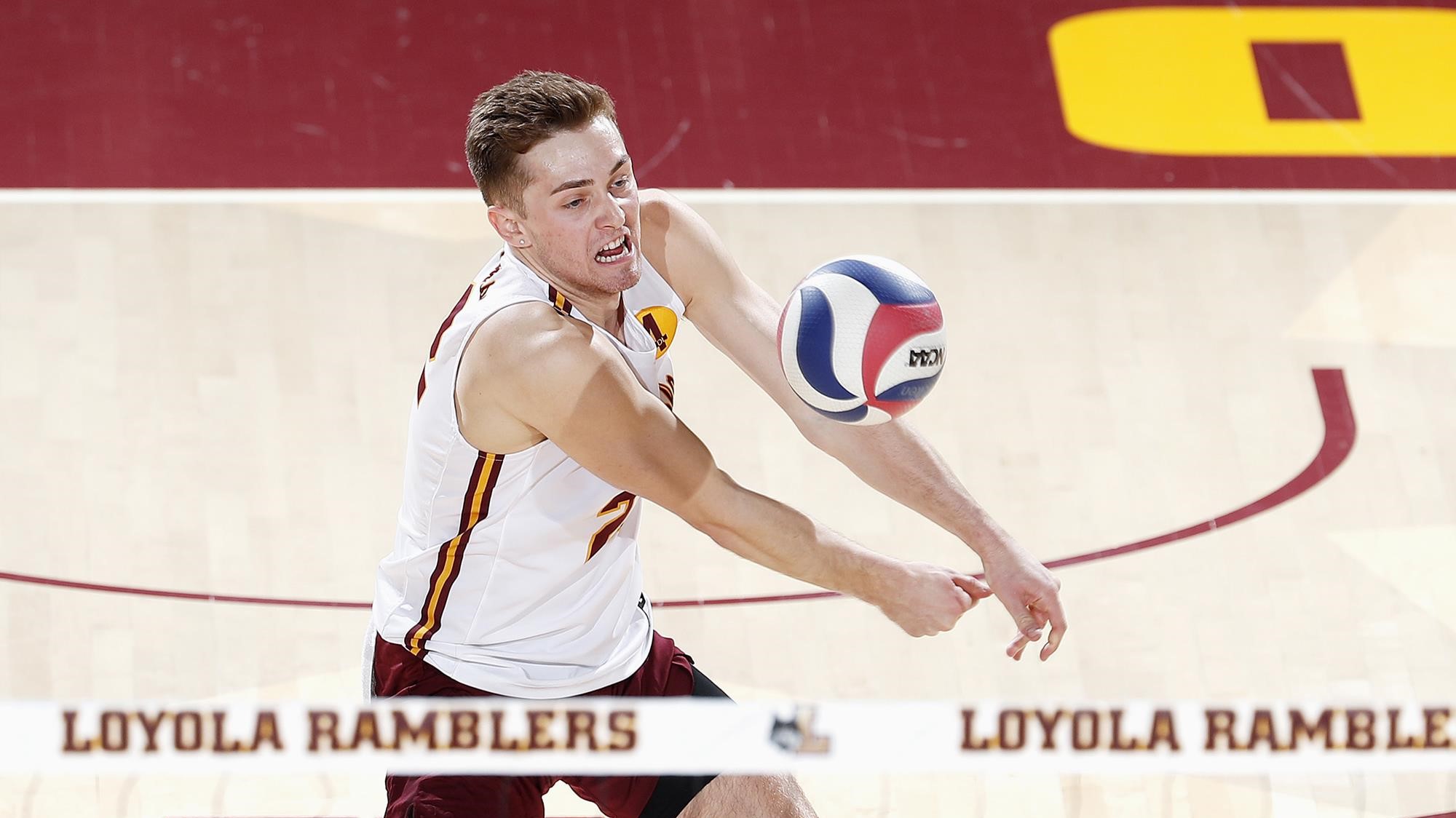 Taylan Cook - Men's Volleyball - Loyola University Chicago Athletics