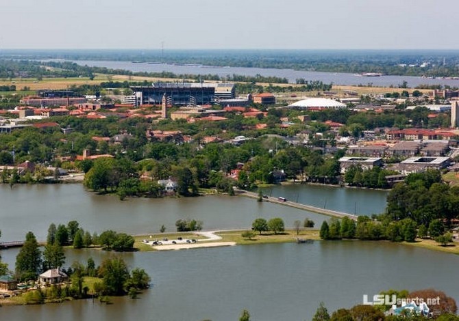 71 Tigers Honored At The Tribute - LSU Academic Center for Student-Athletes